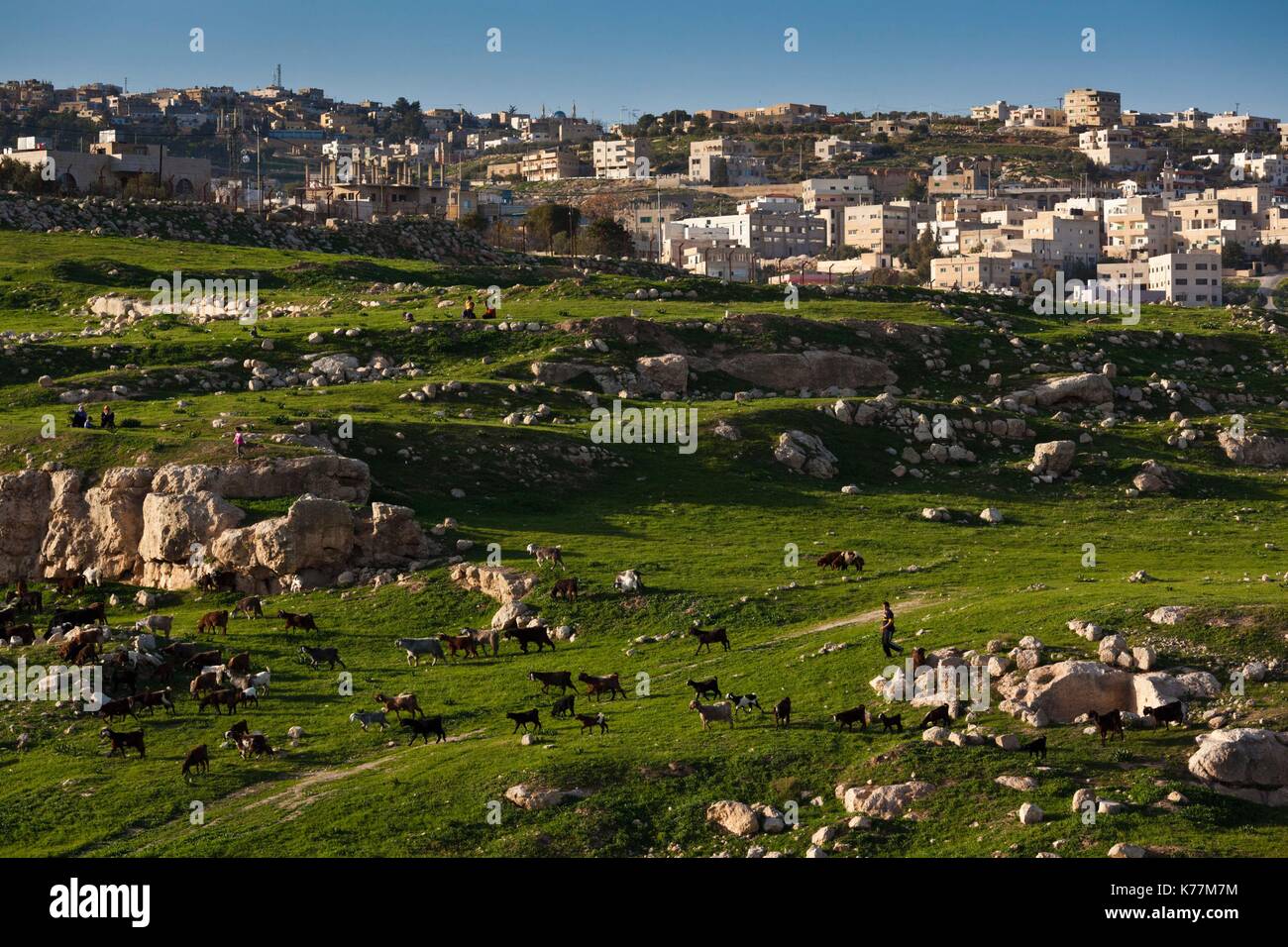 Jordan, Jerash, Roman-era city ruins, overview, late afternoon Stock ...