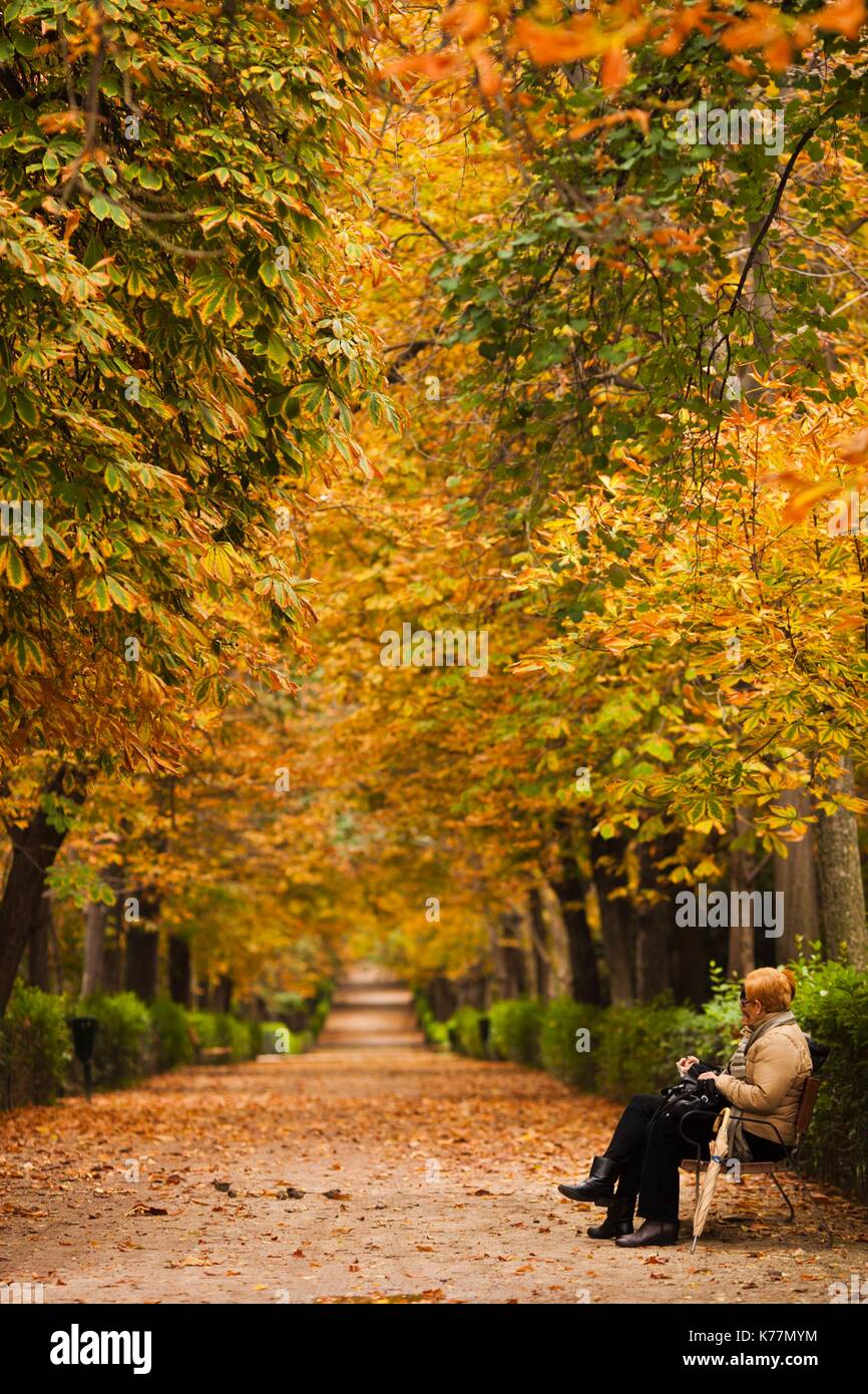 Spain, Madrid, Parque del Buen Retiro park, fall foliage Stock Photo ...
