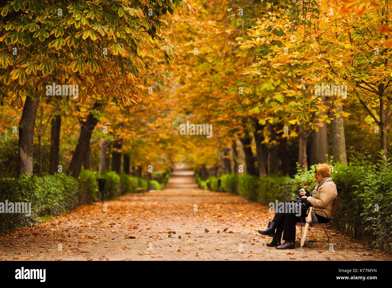 Spain, Madrid, Parque del Buen Retiro park, fall foliage Stock Photo ...