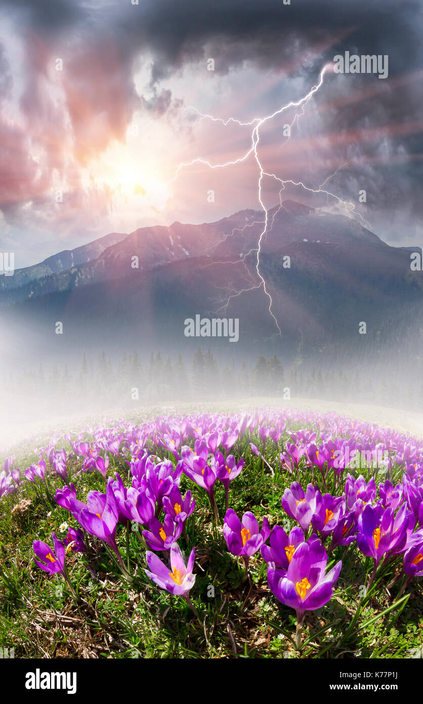 Melts in the sun hi-res stock photography and images - Alamy