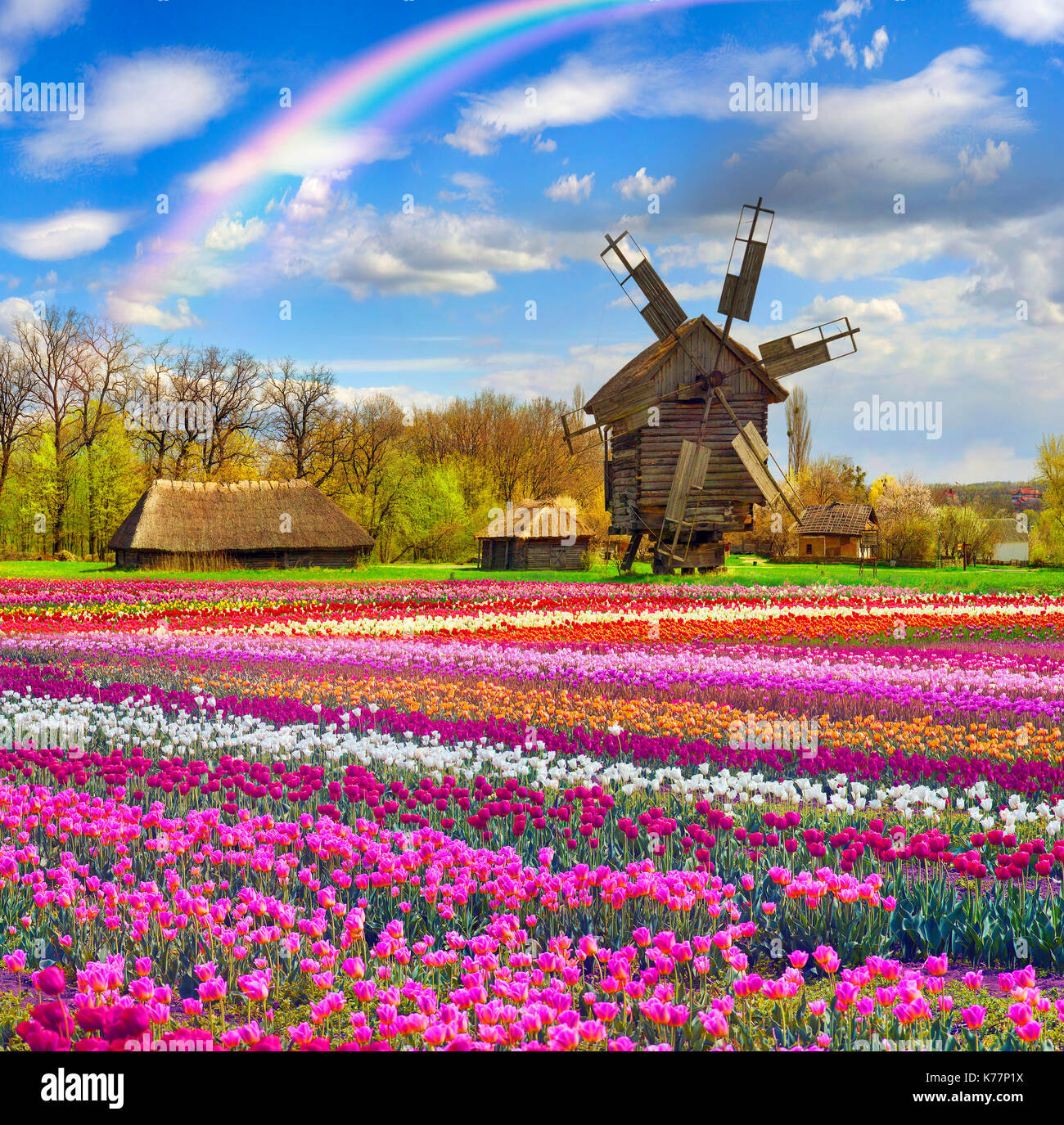 Spring is a good sunny weather in the landscape park of Pirogovo near ...