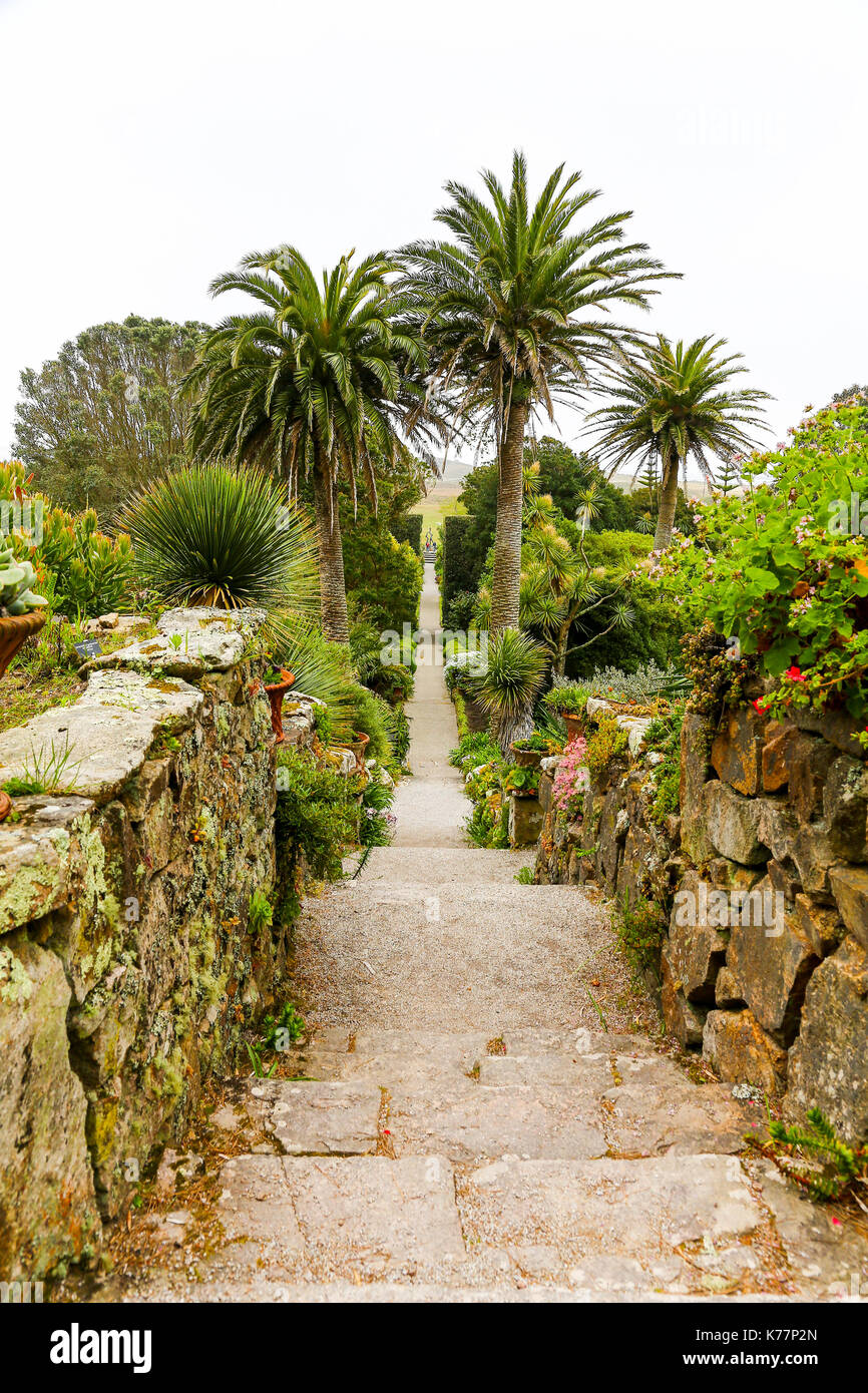 Tresco Abbey Gardens, Isles of Scilly, England, UK Stock Photo - Alamy