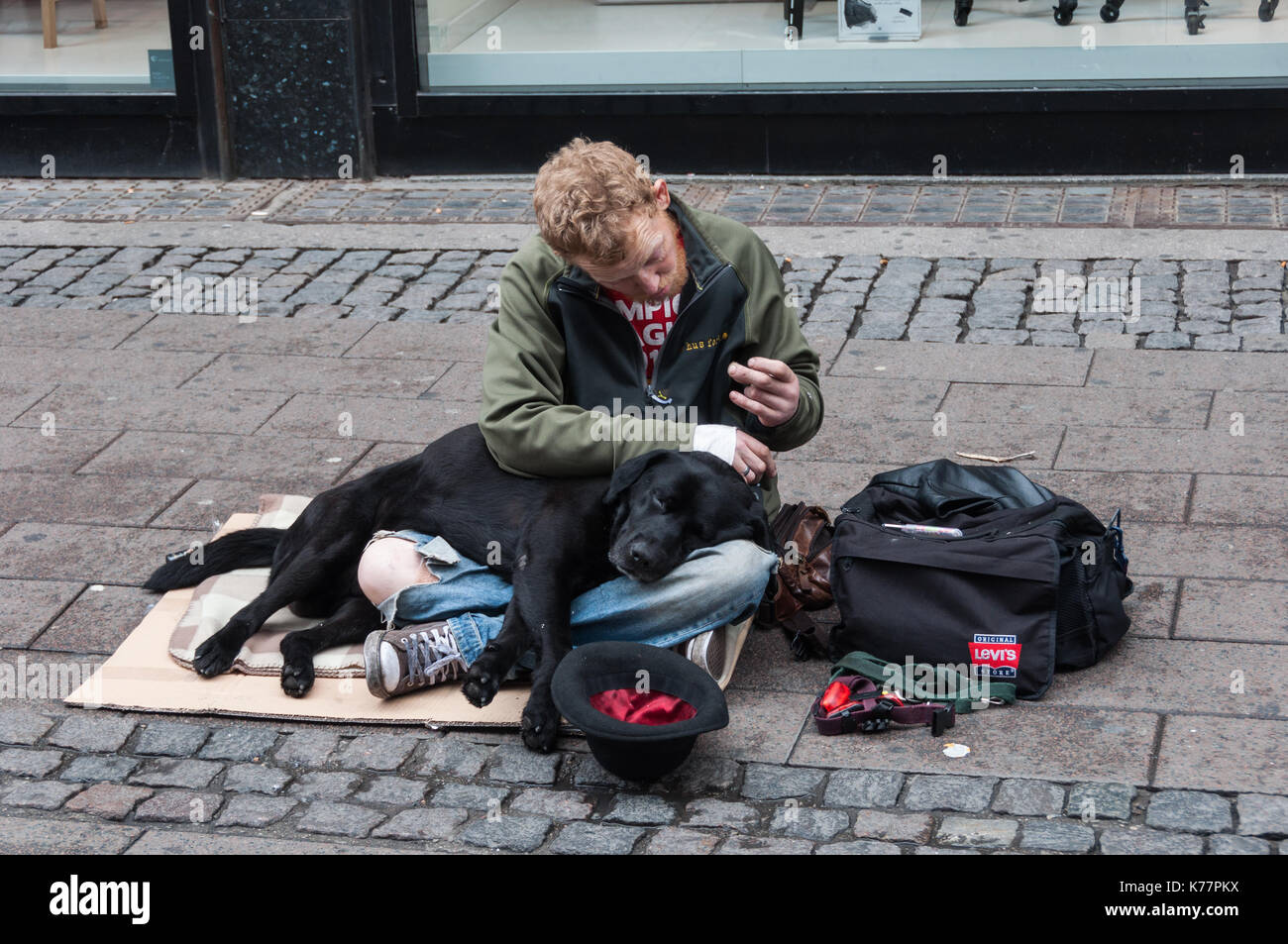 Poor dog hi-res stock photography and images - Alamy