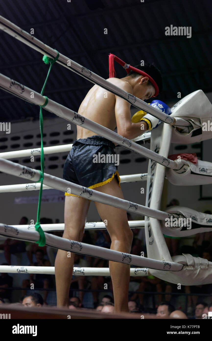 Muay thai boxing event in stadium, Thailand Stock Photo - Alamy
