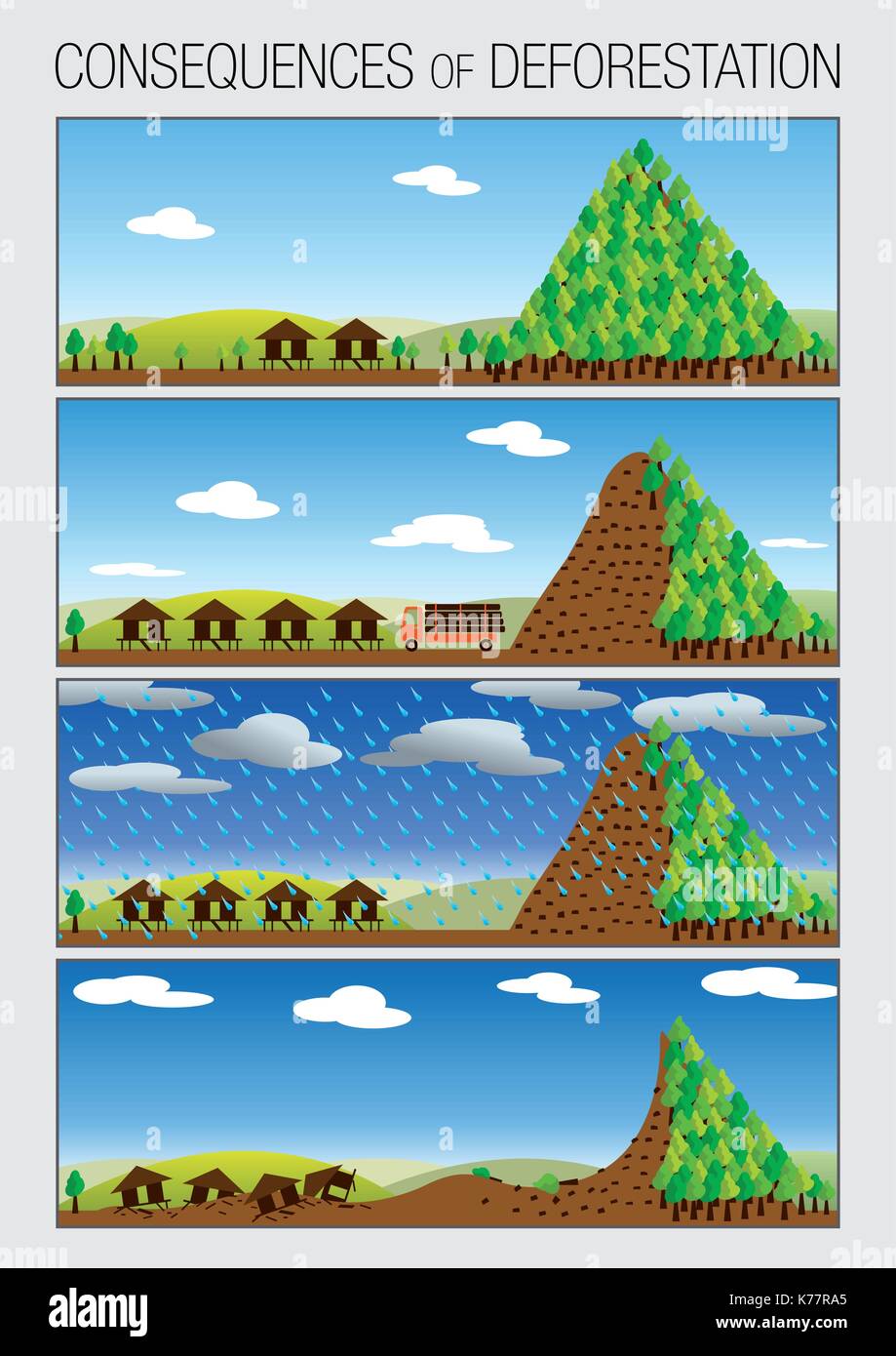 Graph shows in 4 steps the consequences of deforestation of forests ... Graph shows in 4 steps the consequences of deforestation of forests ...