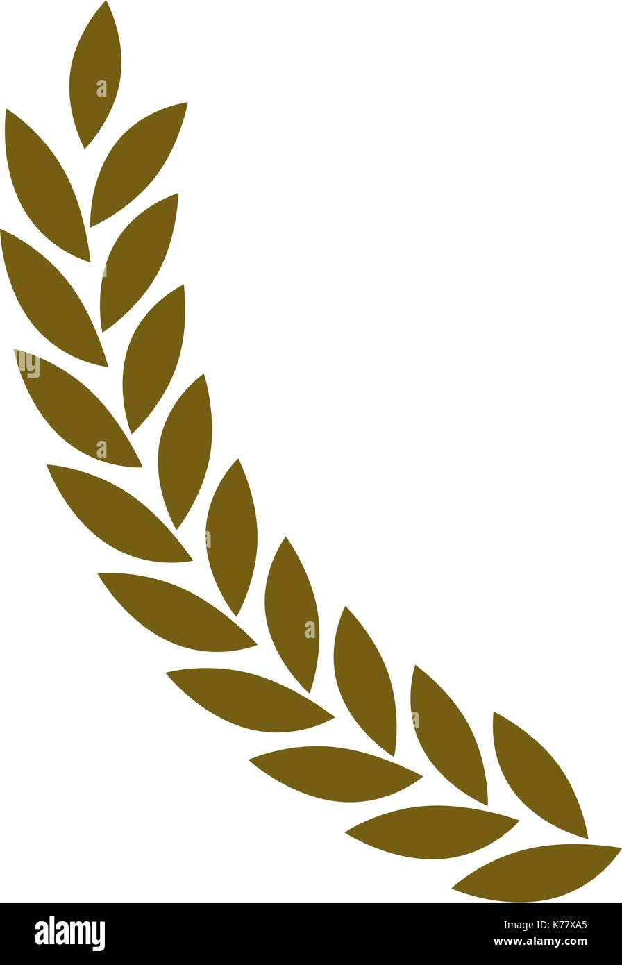 olive branch closeup in golden color Stock Vector Image & Art - Alamy