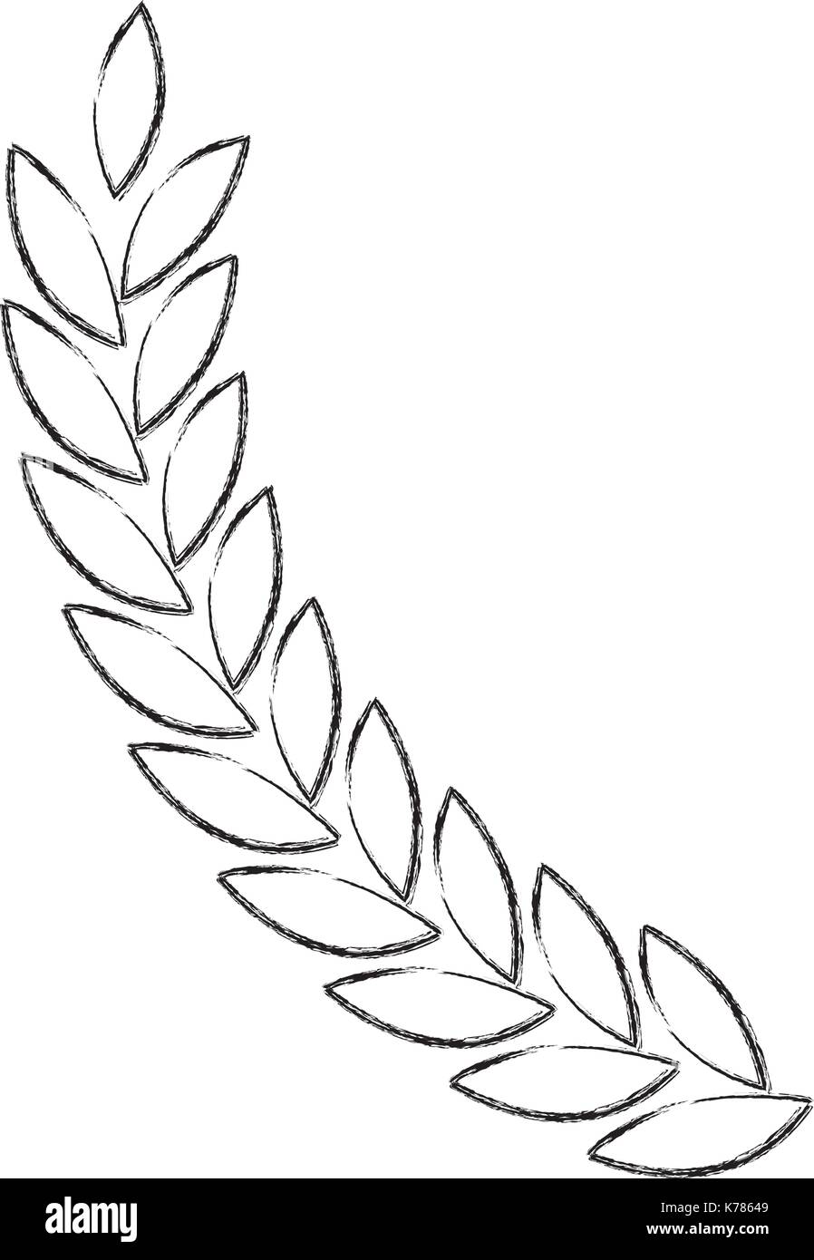 olive branch closeup in monochrome blurred color Stock Vector Image ...