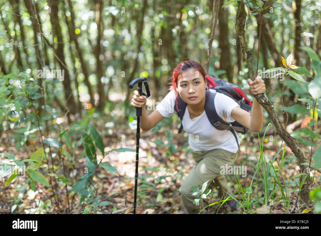 Hiking young woman with backpack watching trekking map, Hiking concept ...