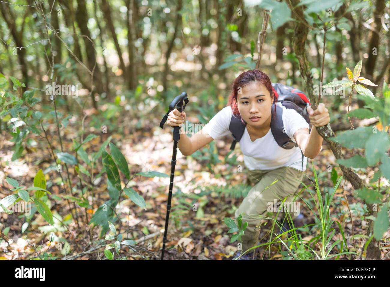Hiking young woman with backpack watching trekking map, Hiking concept ...
