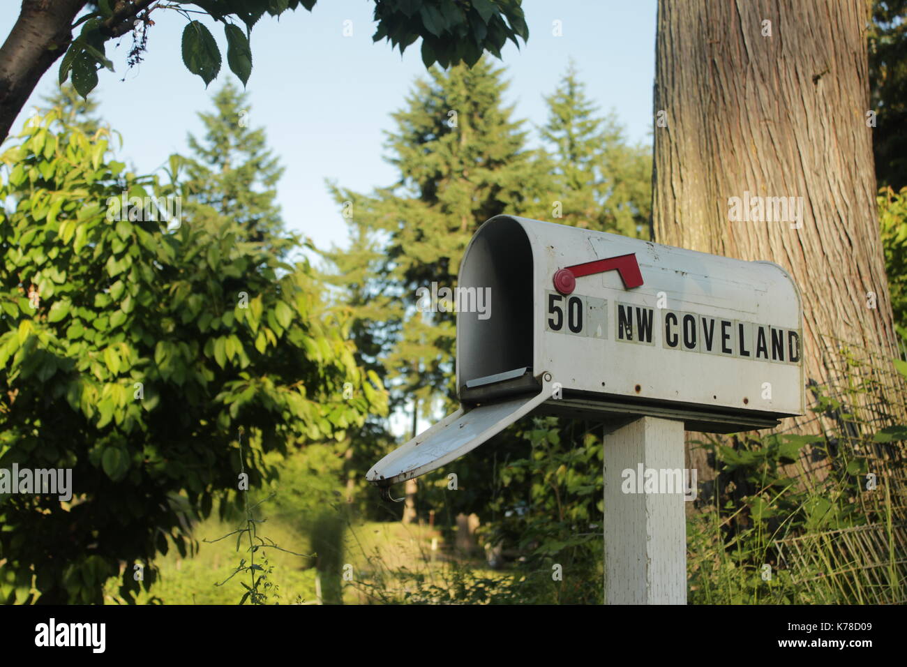 Classic mailbox with nice green trees and blue sky background Stock ...