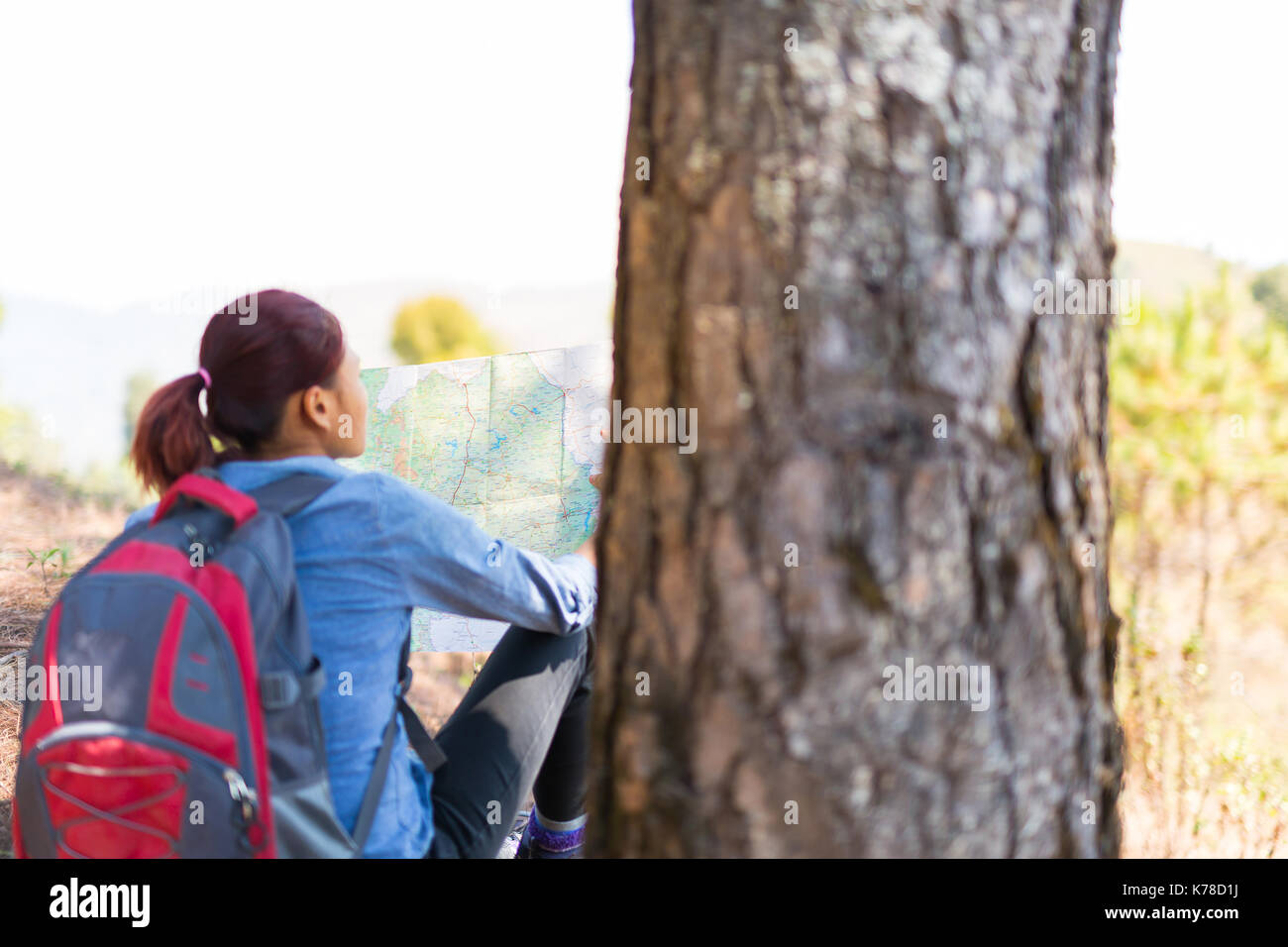 Grassland map hi-res stock photography and images - Alamy