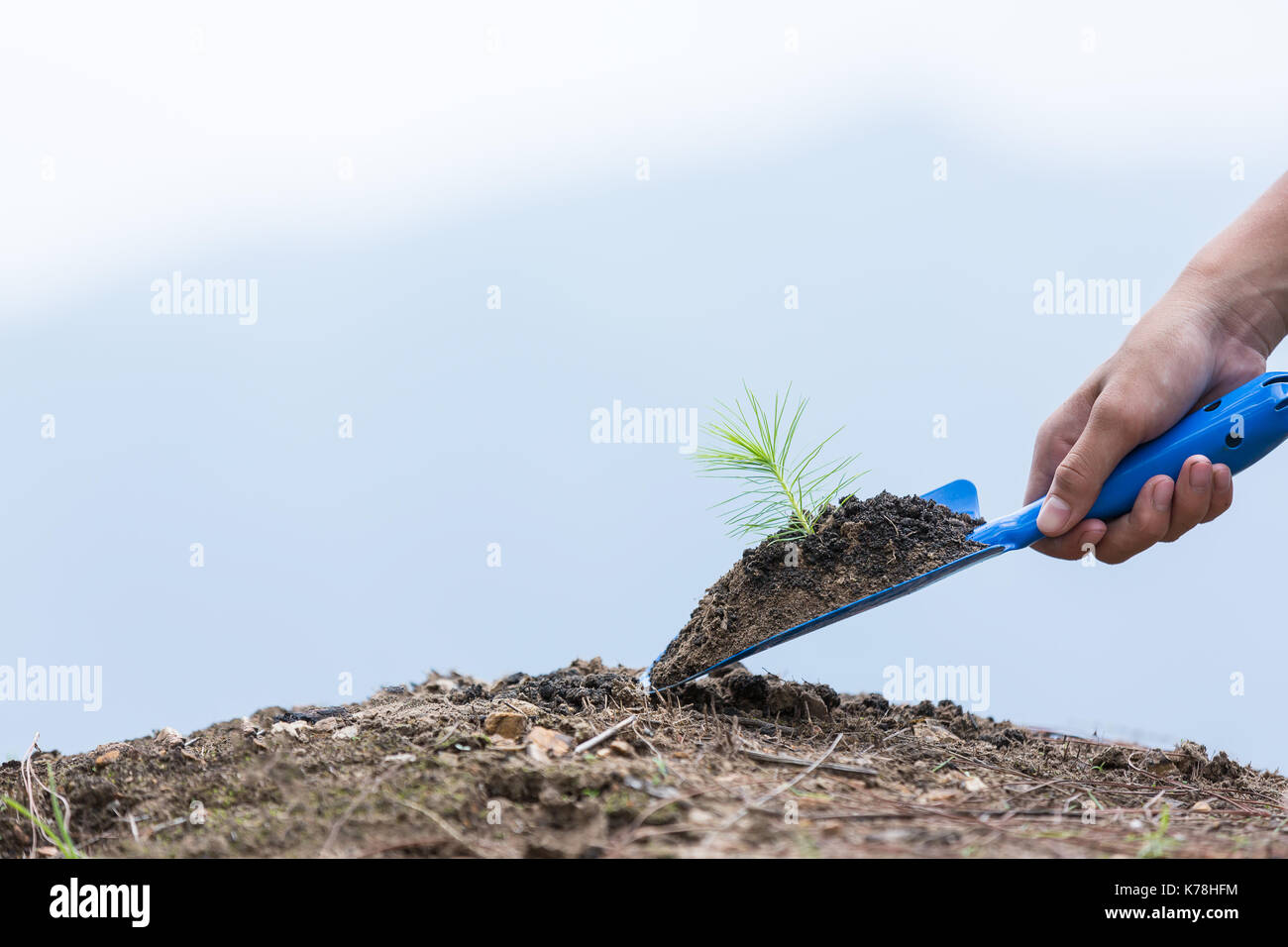 Planting a small plant on a pile of soil. as save world concept Stock ...