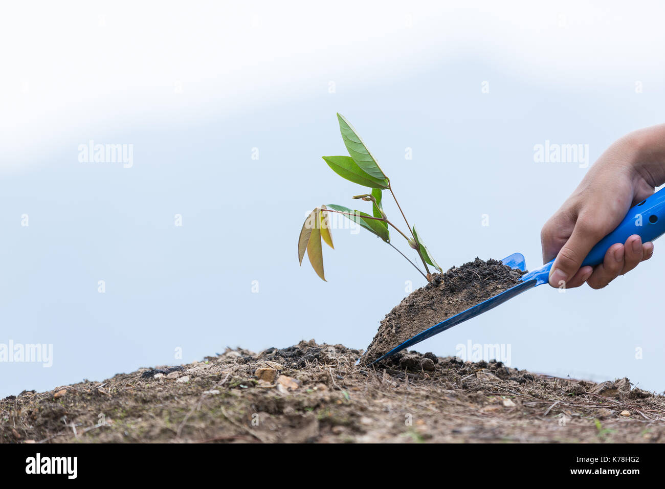 Planting a small plant on a pile of soil. as save world concept Stock ...