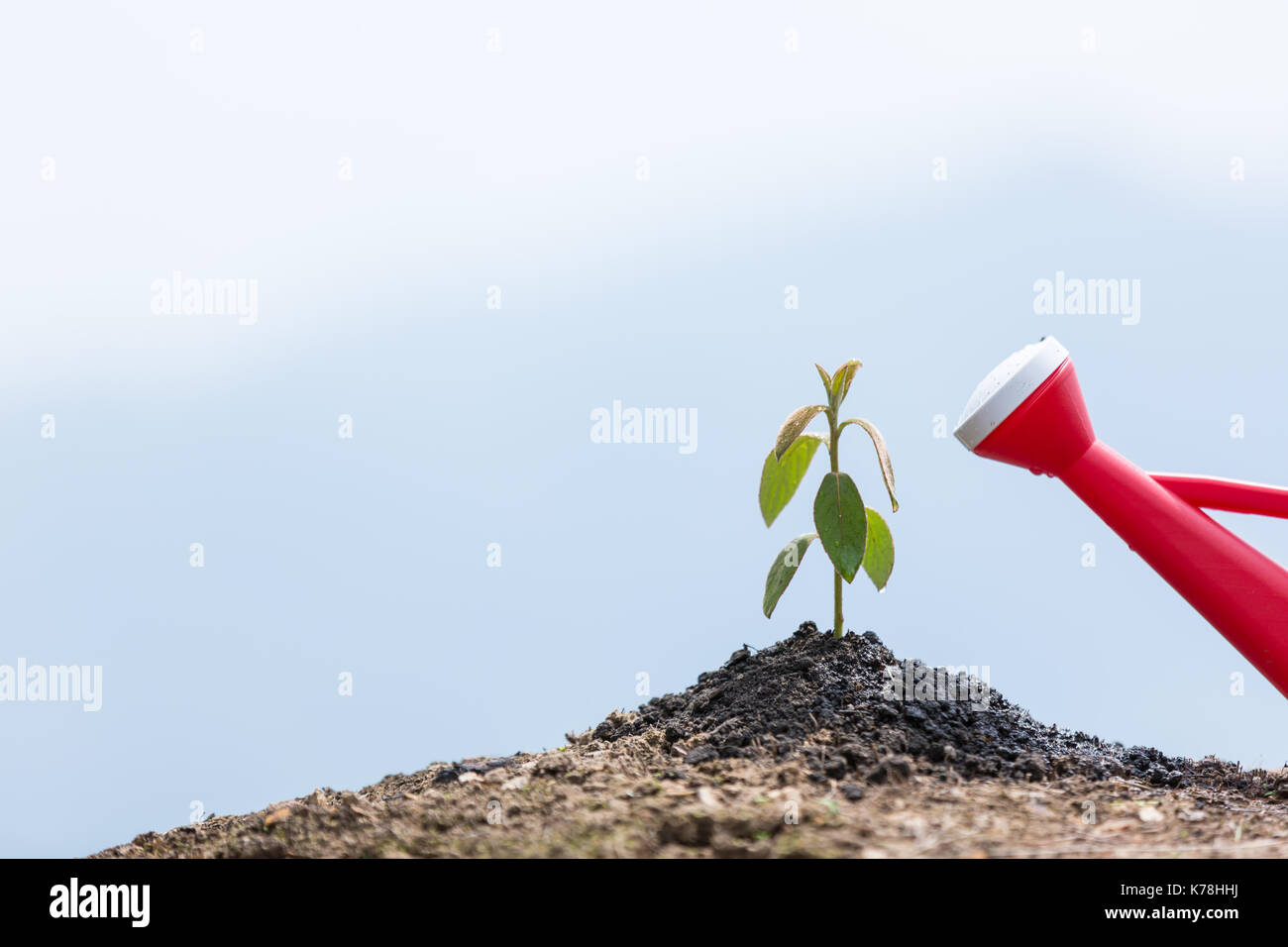 Planting a small plant on a pile of soil. as save world concept Stock ...