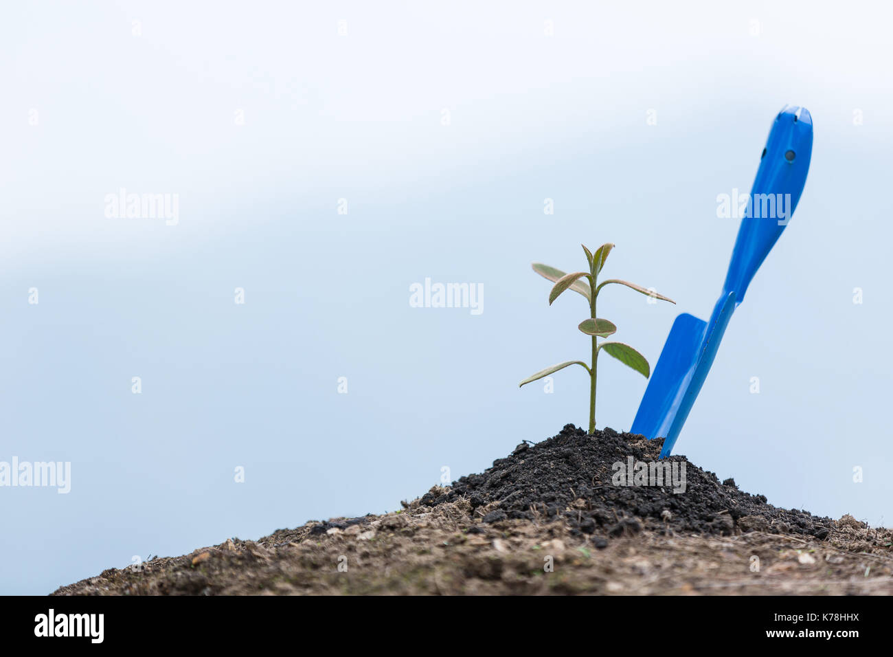 Planting a small plant on a pile of soil. as save world concept Stock ...