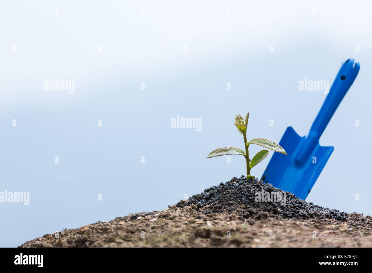 Planting a small plant on a pile of soil. as save world concept Stock ...