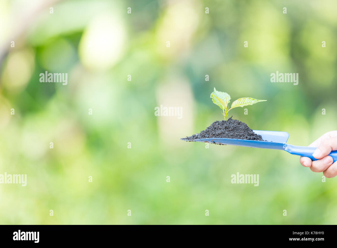 plant a tree.Symbol of spring and ecology concept Stock Photo - Alamy