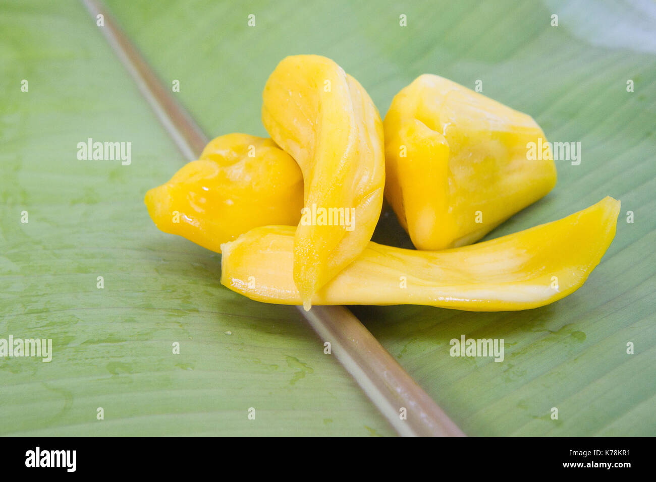 Jackfruit varieties hi-res stock photography and images - Alamy