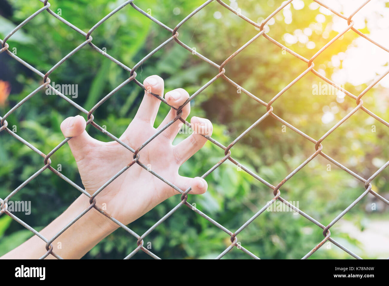 The boy's hand hand caught an iron cage in Places of Detention to await ...