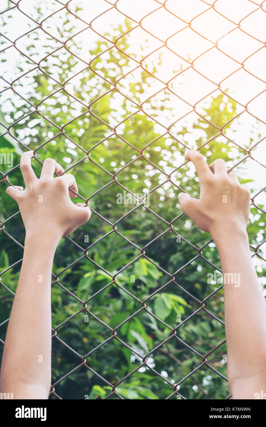The boy's hand hand caught an iron cage in Places of Detention to await ...