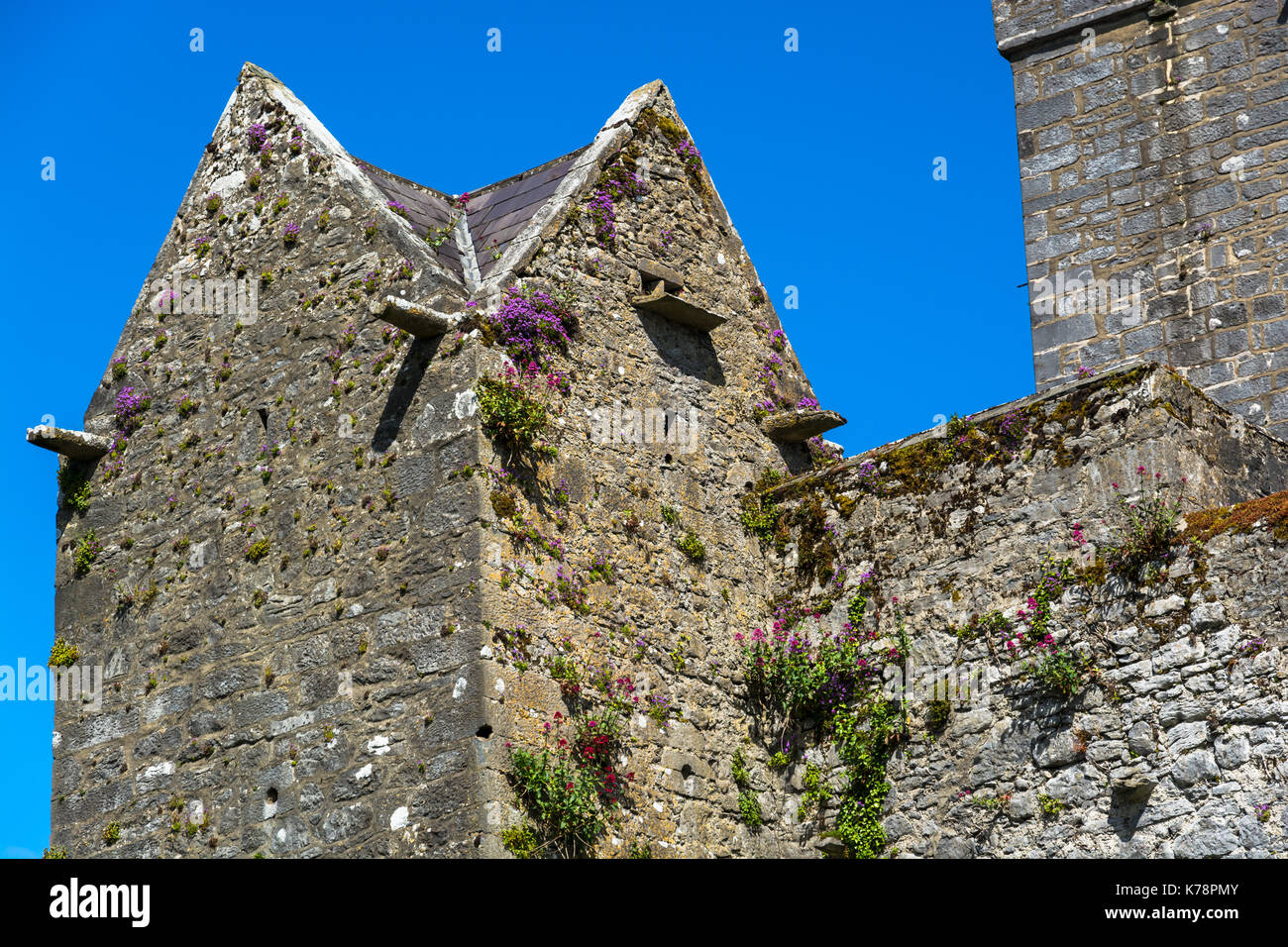 Galway, Ireland: Closeup of Dunguaire Castle in Galway Bay, Ireland ...