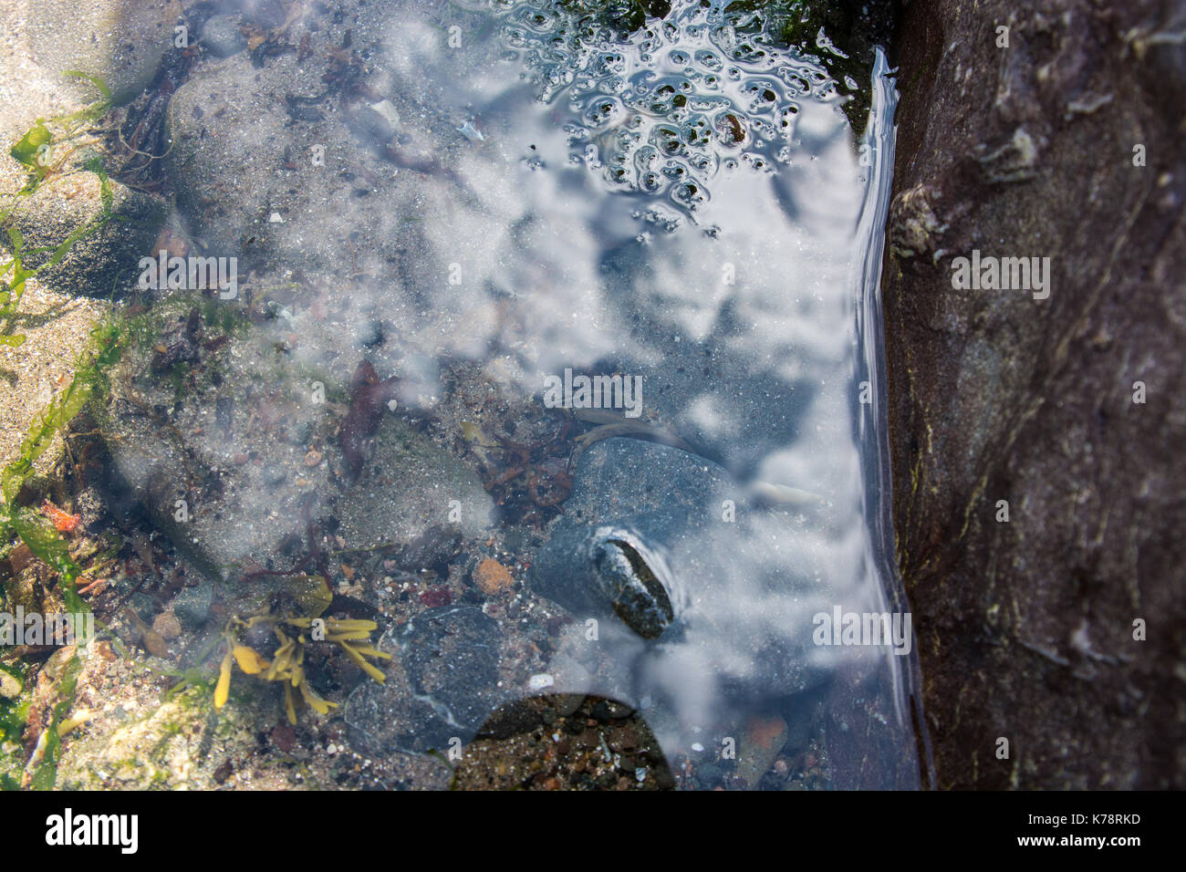 Rock pool on beach at Lendalfoot Girvan Scotland Stock Photo - Alamy
