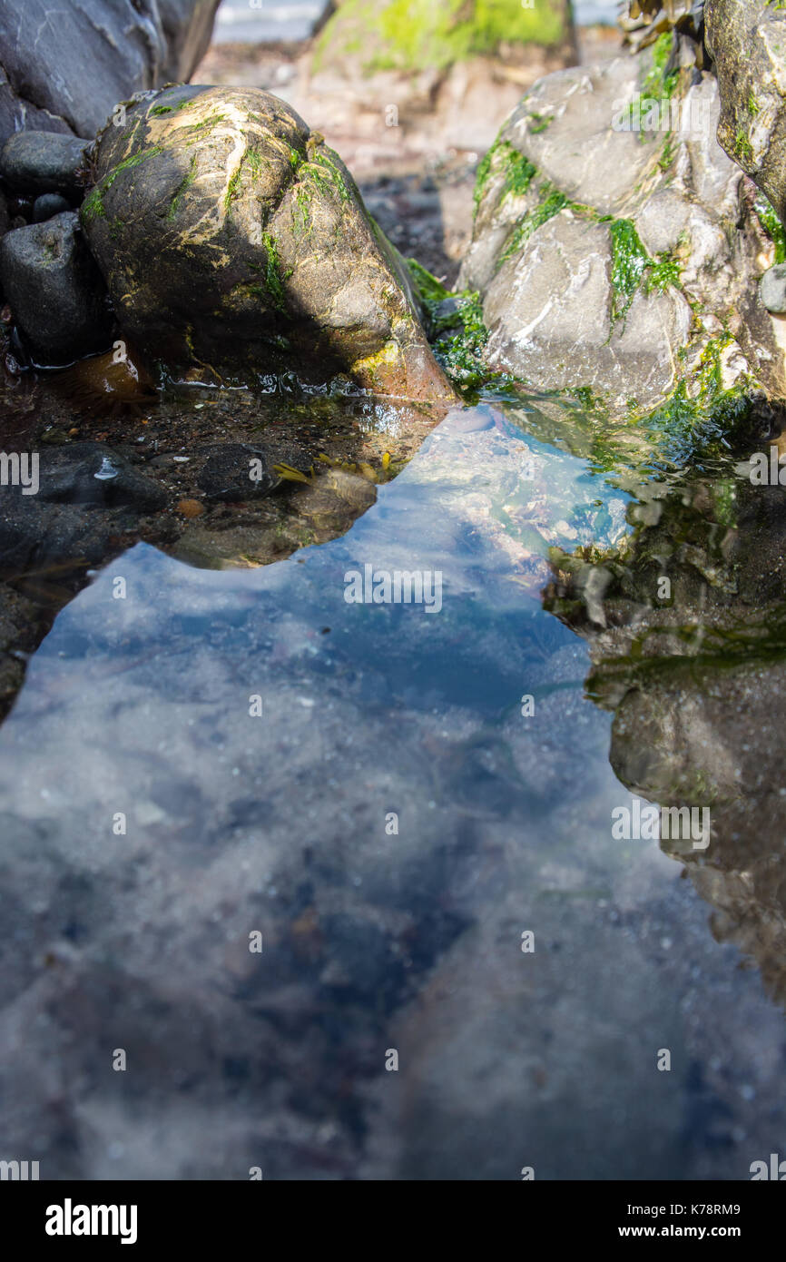 Rock pool on beach at Lendalfoot Girvan Scotland Stock Photo - Alamy