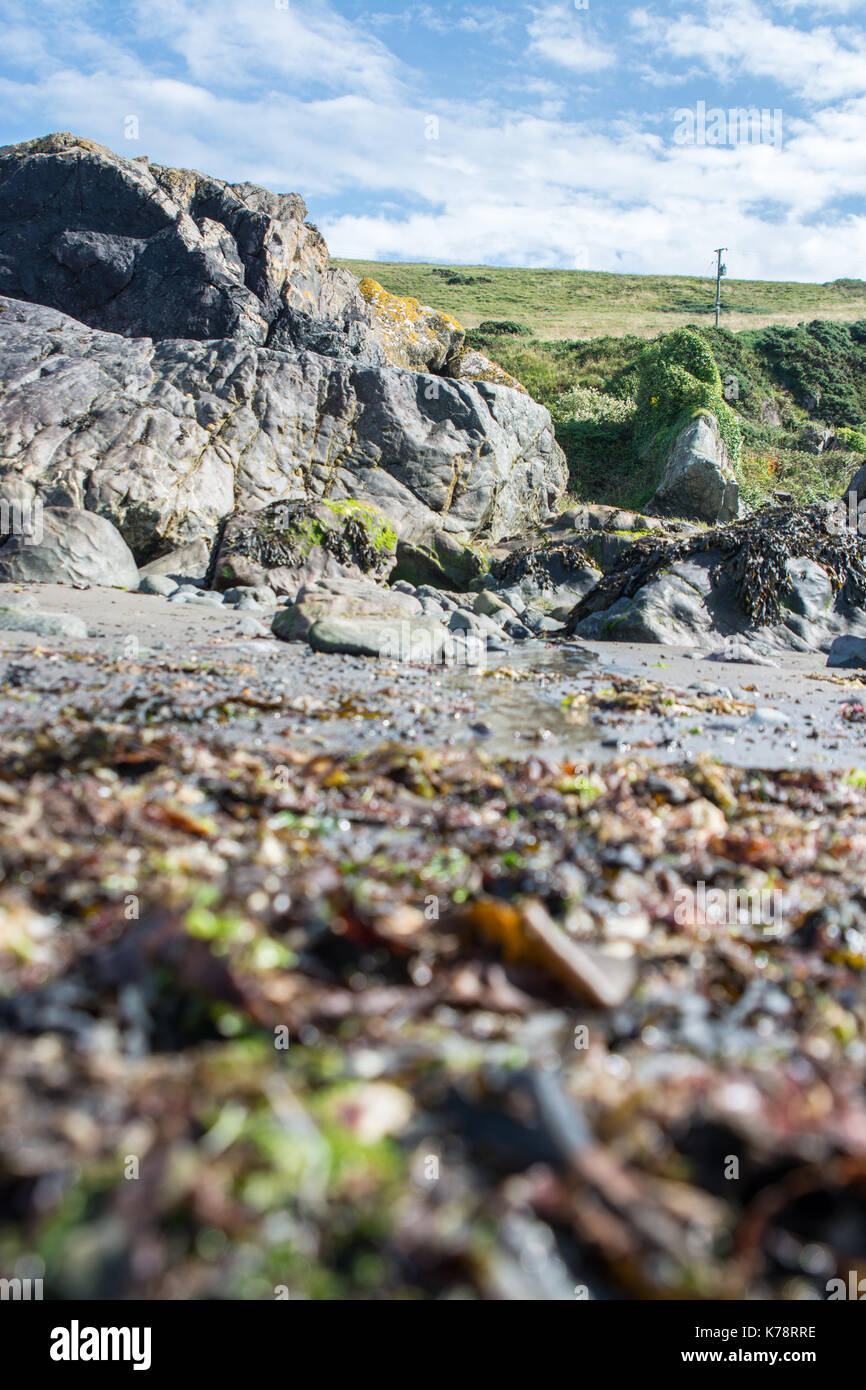 Rock pool on beach at Lendalfoot Girvan Scotland Stock Photo - Alamy