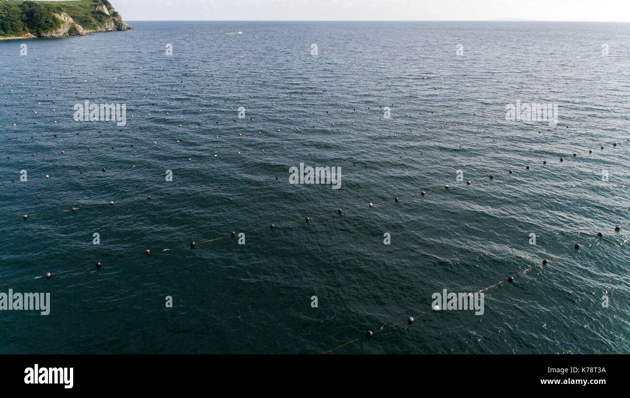 Aerial of mussel aquaculture hi-res stock photography and images - Alamy