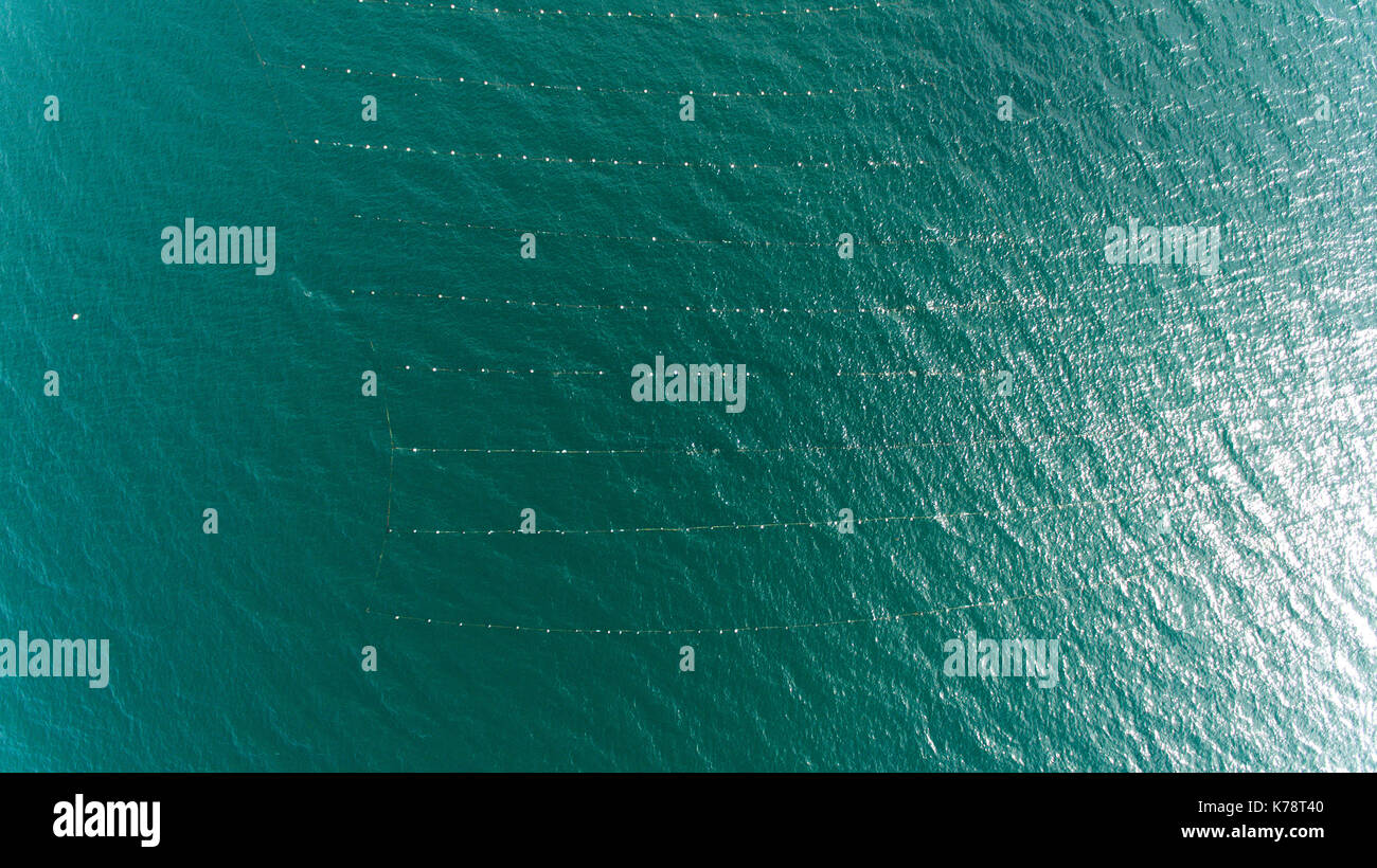 Aerial of mussel aquaculture hi-res stock photography and images - Alamy