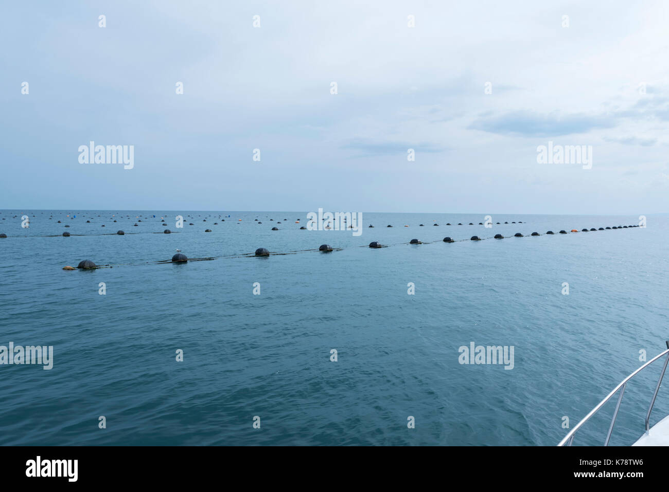 Floating mussel farm hi-res stock photography and images - Alamy