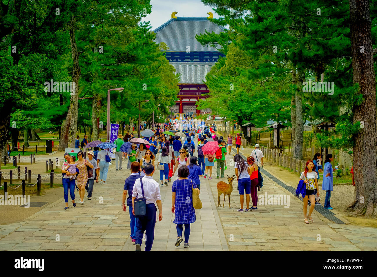Nara, Japan - July 26, 2017: Crowd of people walking inside of Nara ...