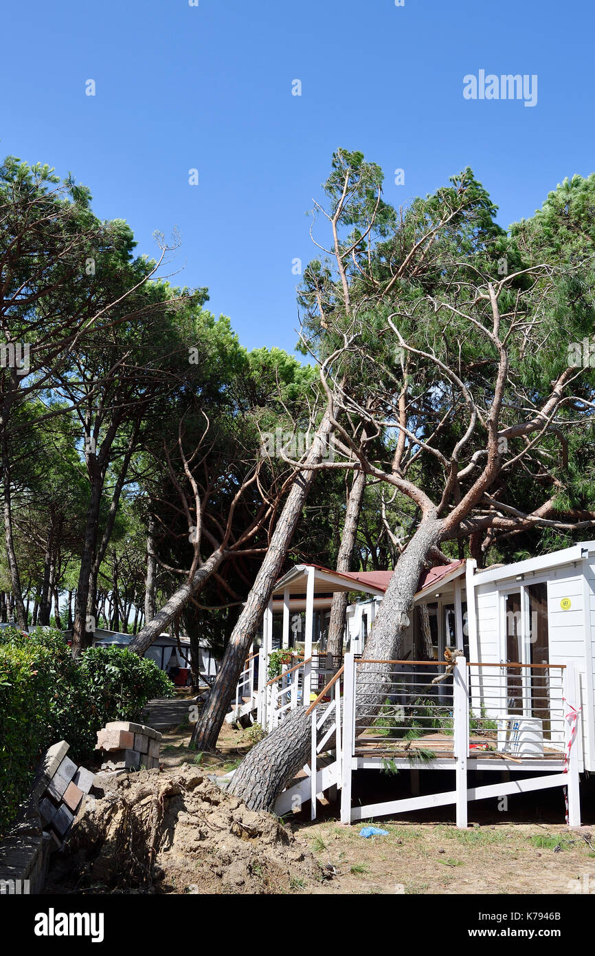 Storm Damage Camping tornado destroy caravan camper mobil home campsite ...