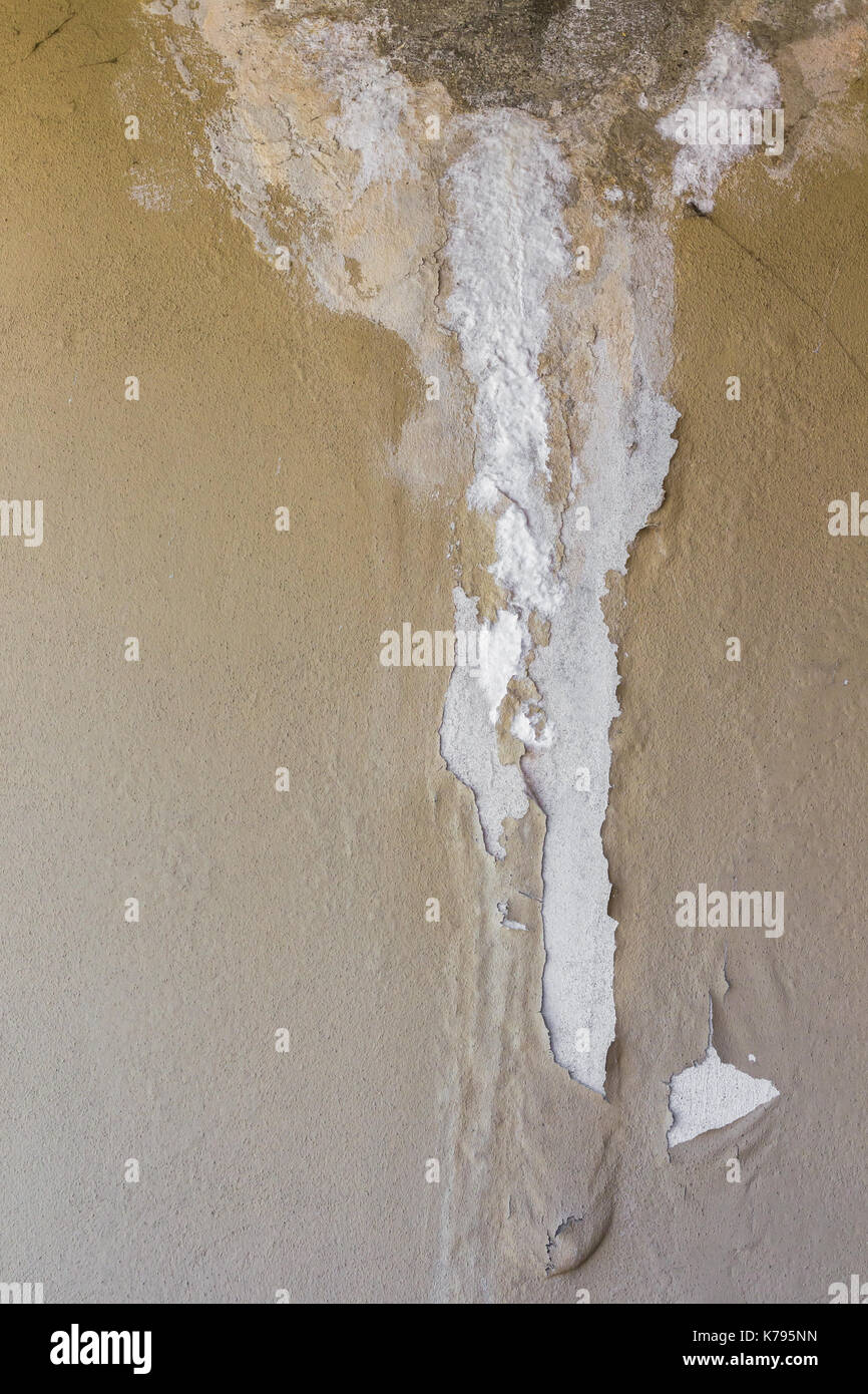 Old peeled wall with mold. Vintage background Stock Photo - Alamy