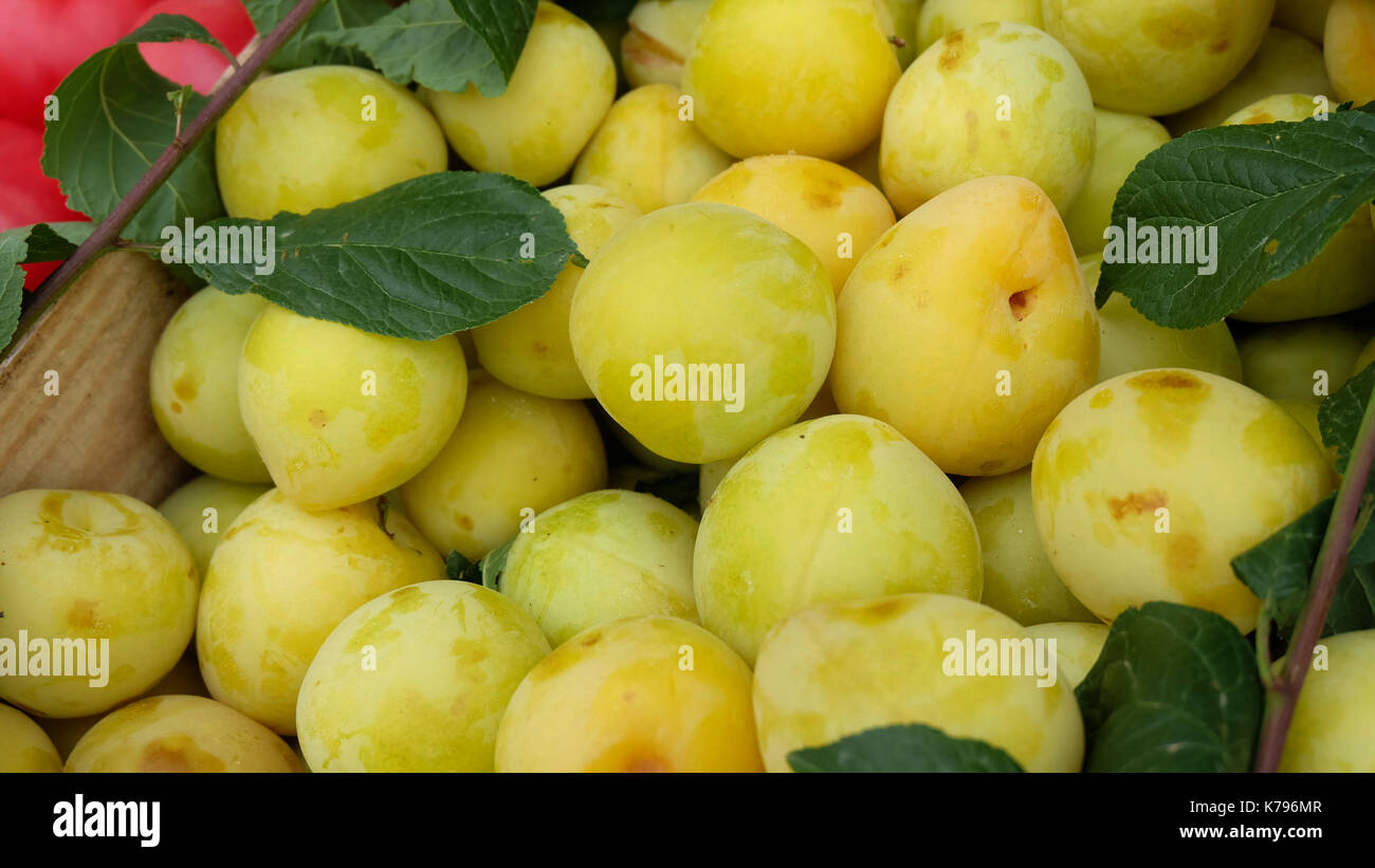 Fresh green and yellow plums Stock Photo - Alamy
