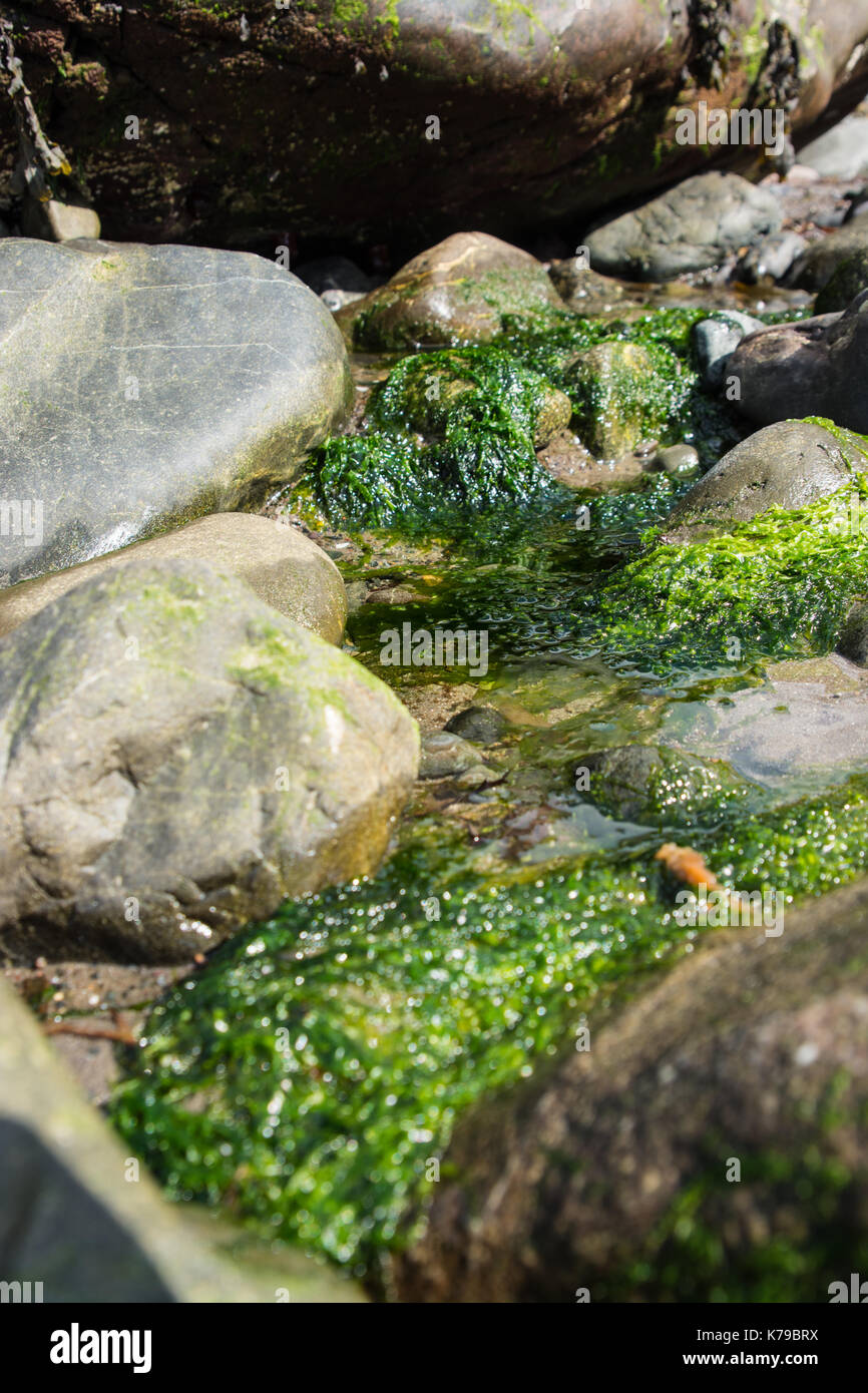 Coastal Scene at Lendalfoot near Girvan Scotland Stock Photo - Alamy
