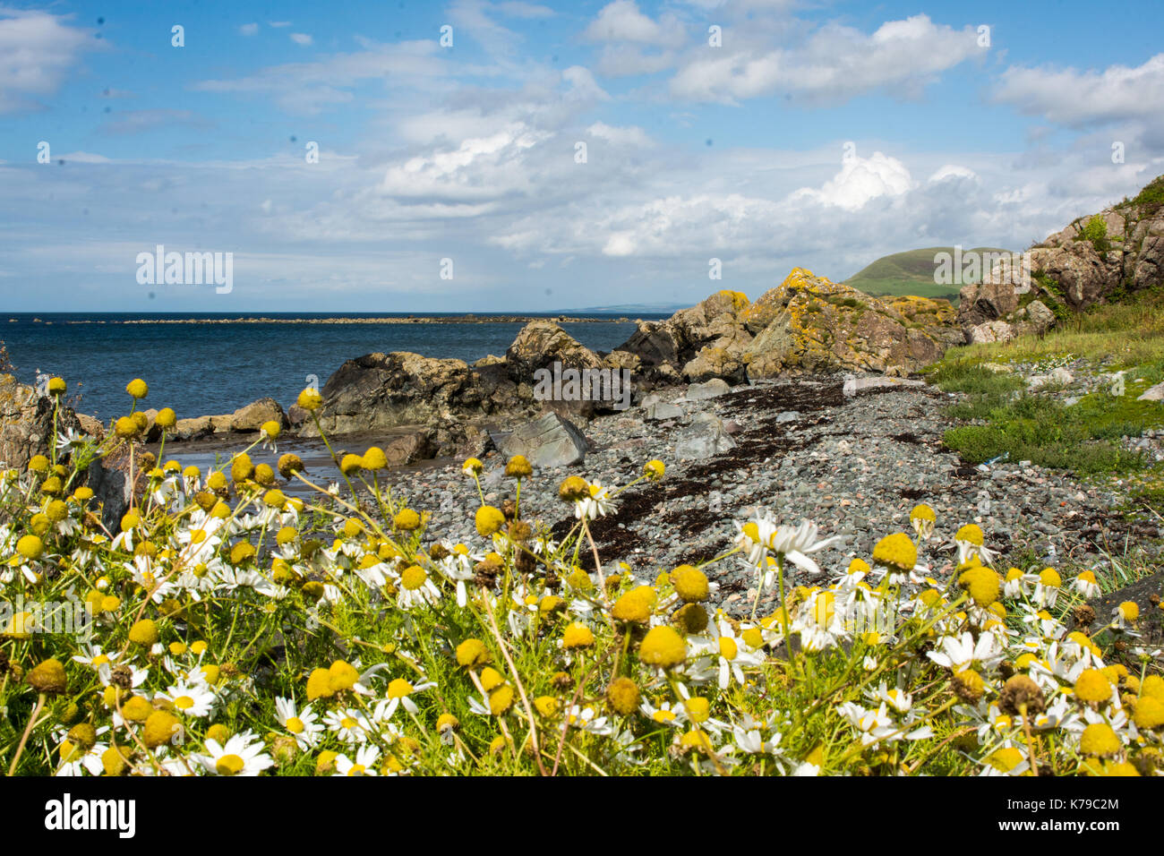 Coastal Scene at Lendalfoot near Girvan Scotland Stock Photo - Alamy