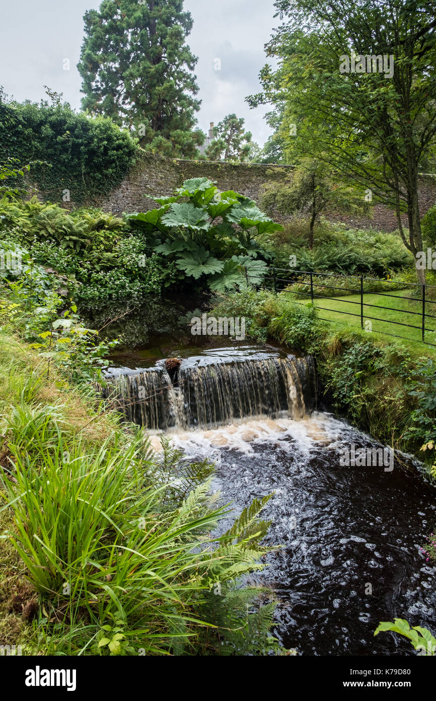 Stream flowing through secluded woodland in Scotland Stock Photo - Alamy