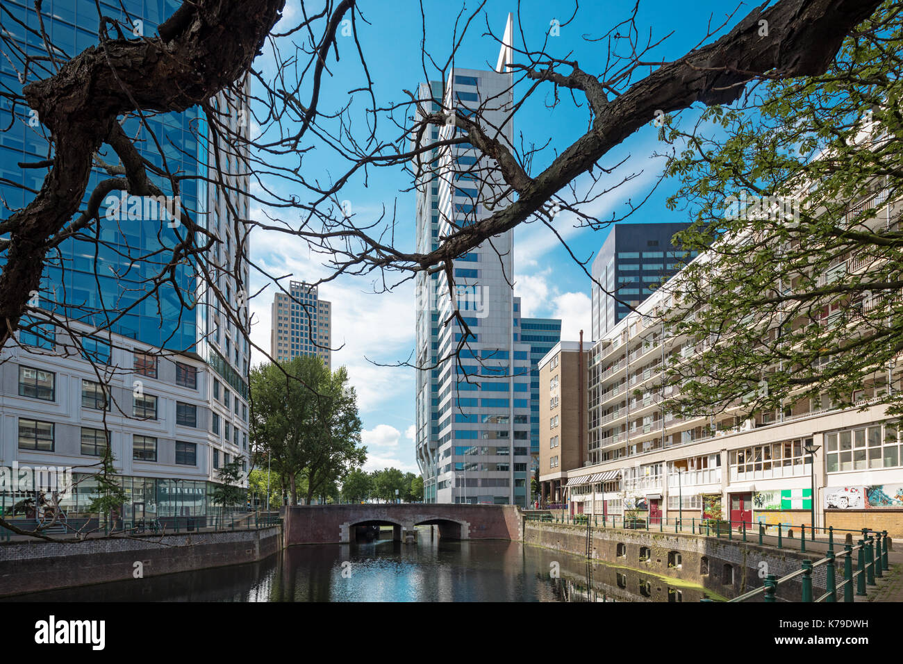 Rotterdam cityscape with canal and skyscraper Stock Photo - Alamy