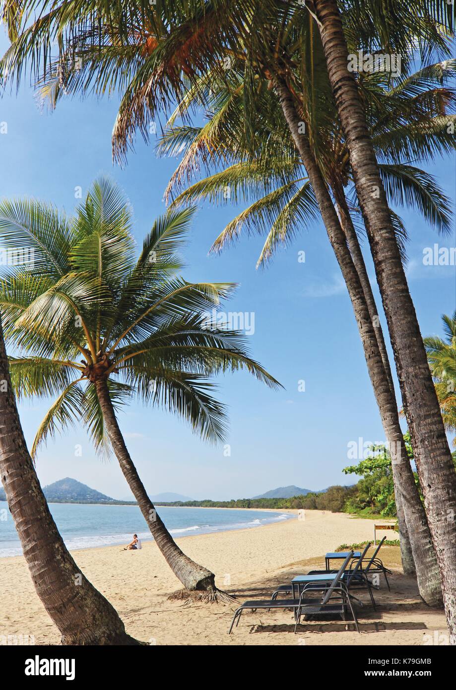 Idyllic tropical Queensland beach setting awaits at Palm Cove Stock ...