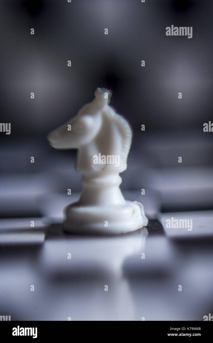 White knight on the chess board Stock Photo - Alamy