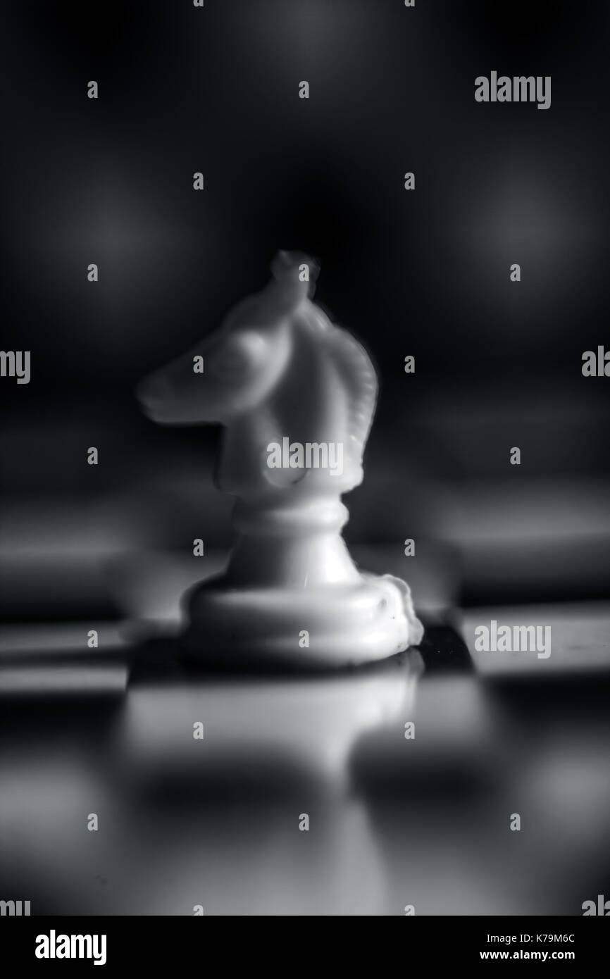 White knight on the chess board Stock Photo - Alamy