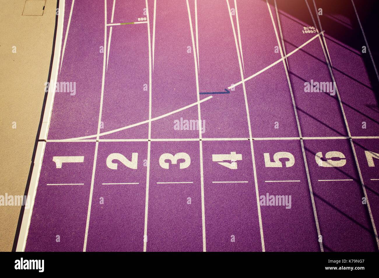 Start or finish line on sports track Stock Photo - Alamy