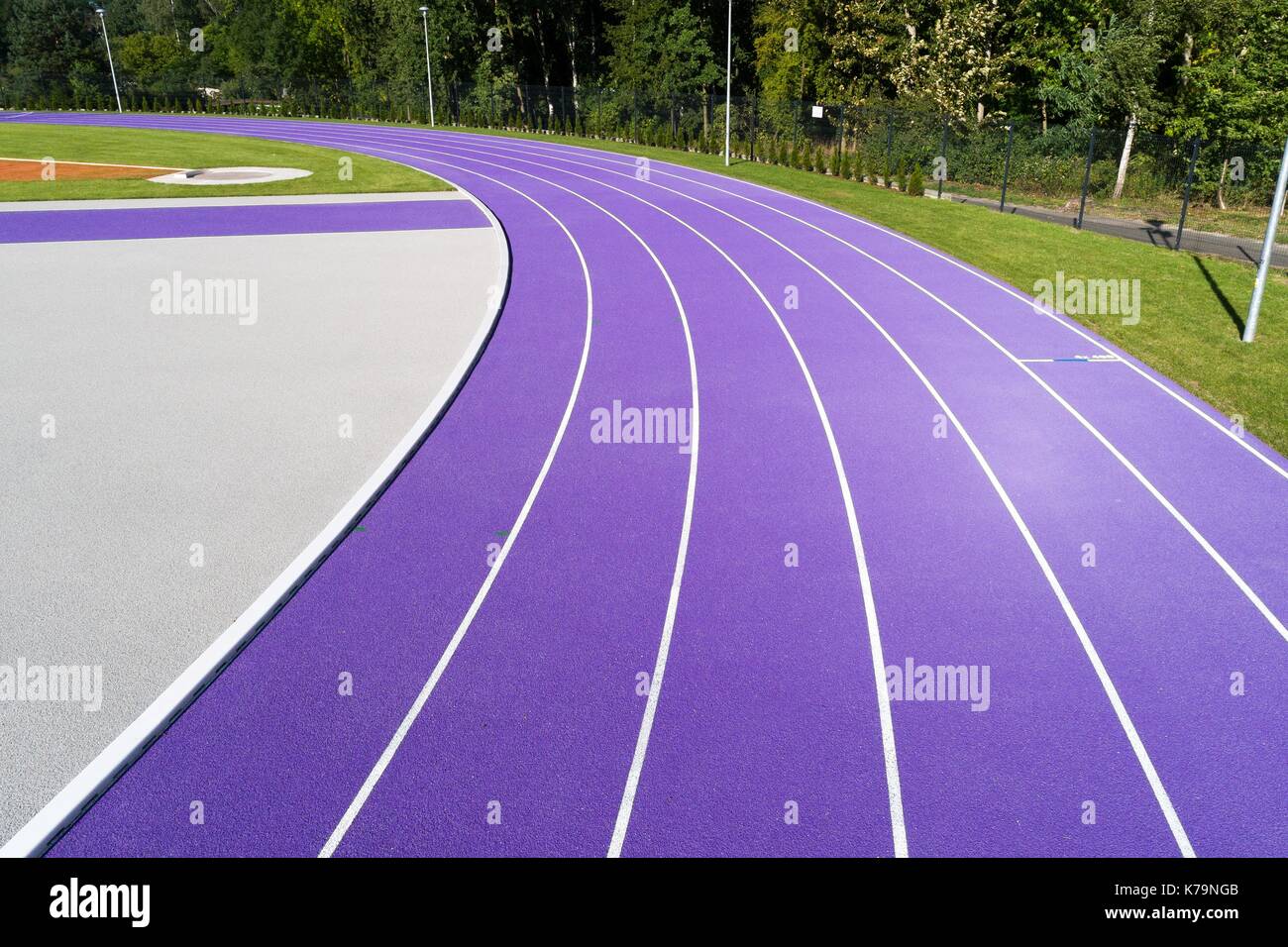 Running sport track on the athletics stadium Stock Photo - Alamy