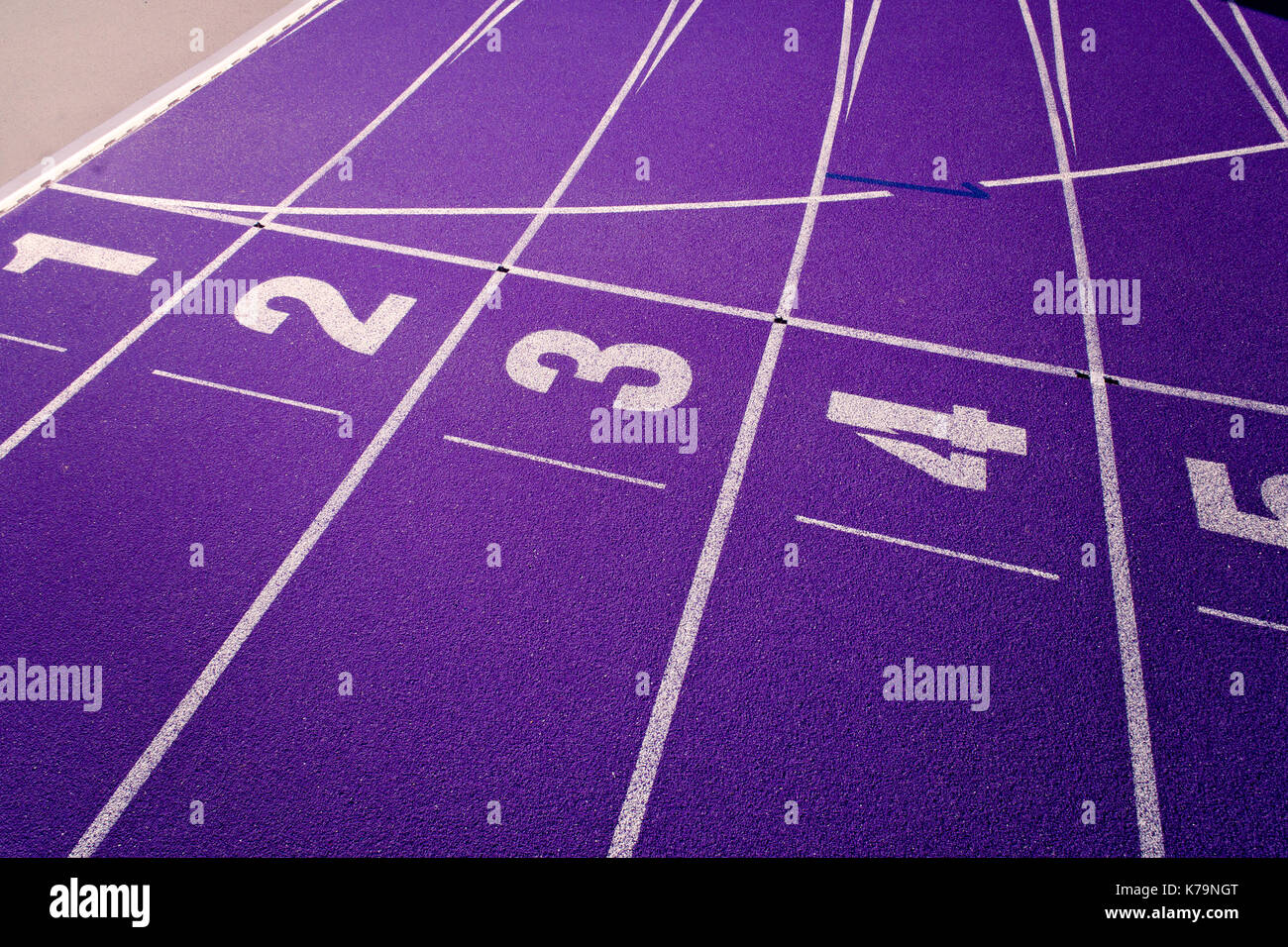 Start or finish line on sports track Stock Photo - Alamy