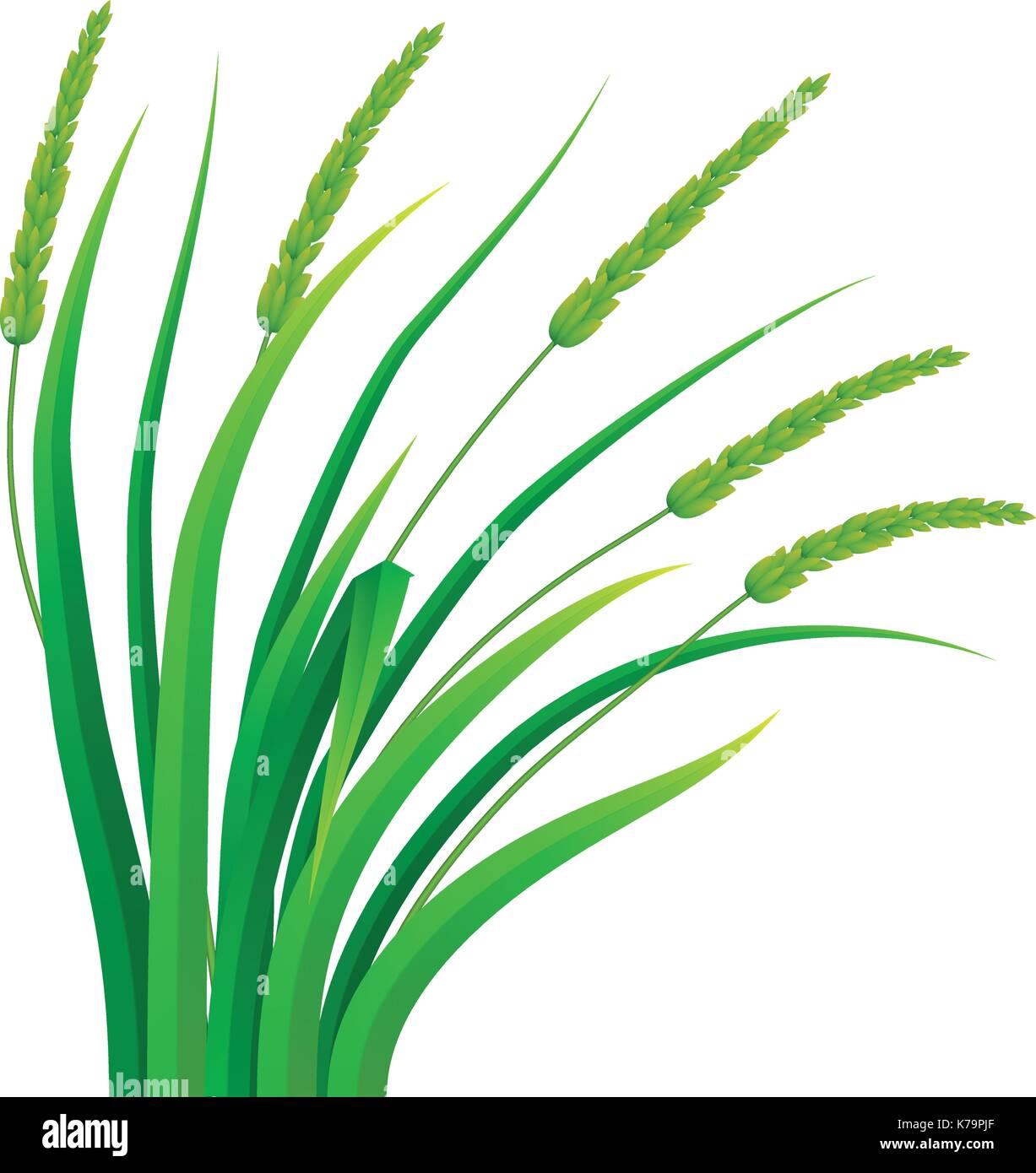 Bunch of grass icon, realistic style Stock Vector Image & Art - Alamy