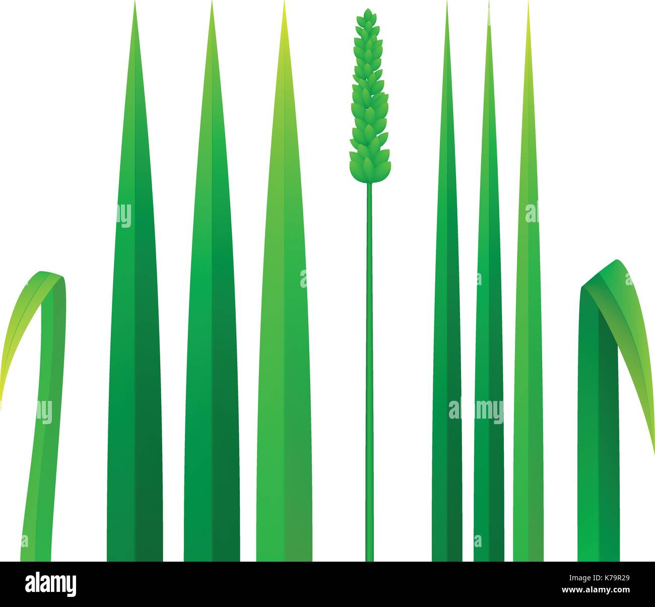 Strong grass icon, realistic style Stock Vector Image & Art - Alamy