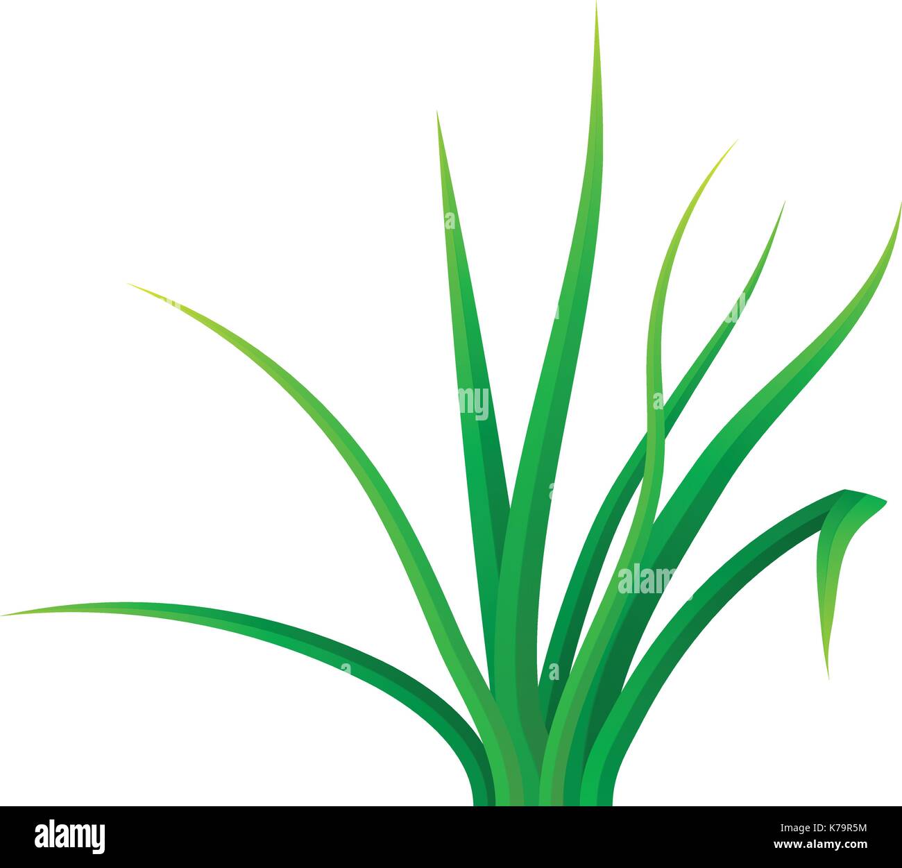 Small bunch grass icon, realistic style Stock Vector Image & Art - Alamy