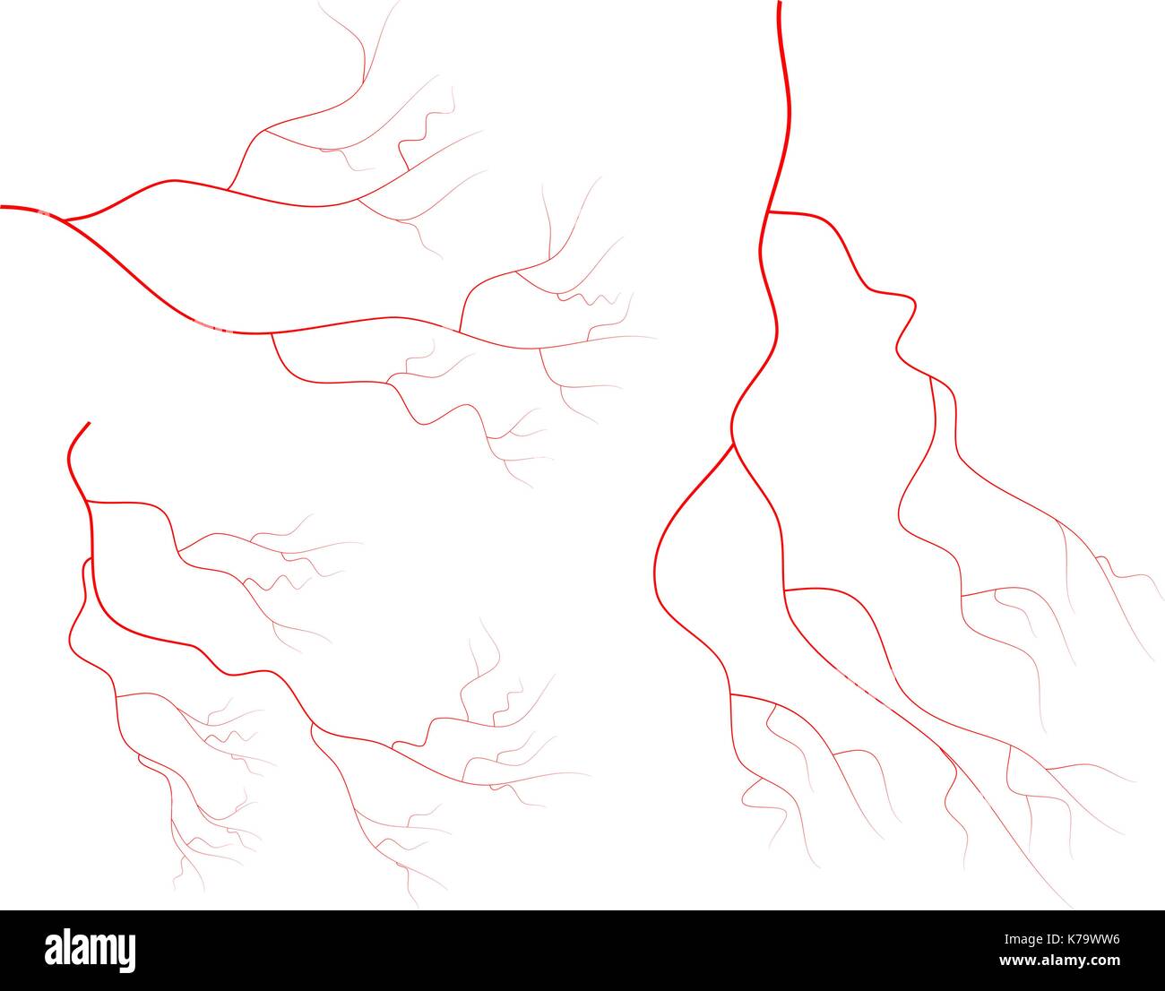 red vein set vector symbol icon design. Beautiful illustration isolated ...