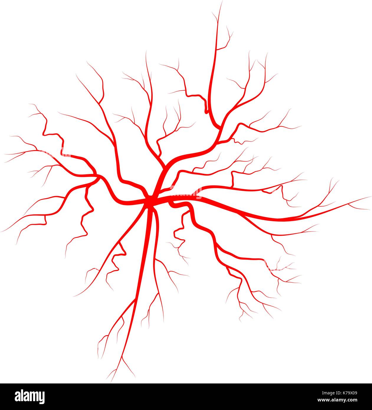 spider vein vector symbol icon design. Beautiful illustration isolated ...